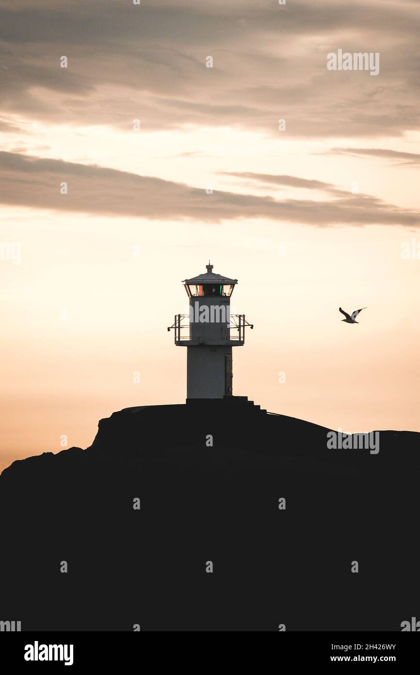 A vertical shot of the beautiful view of a watching tower on mountain ...