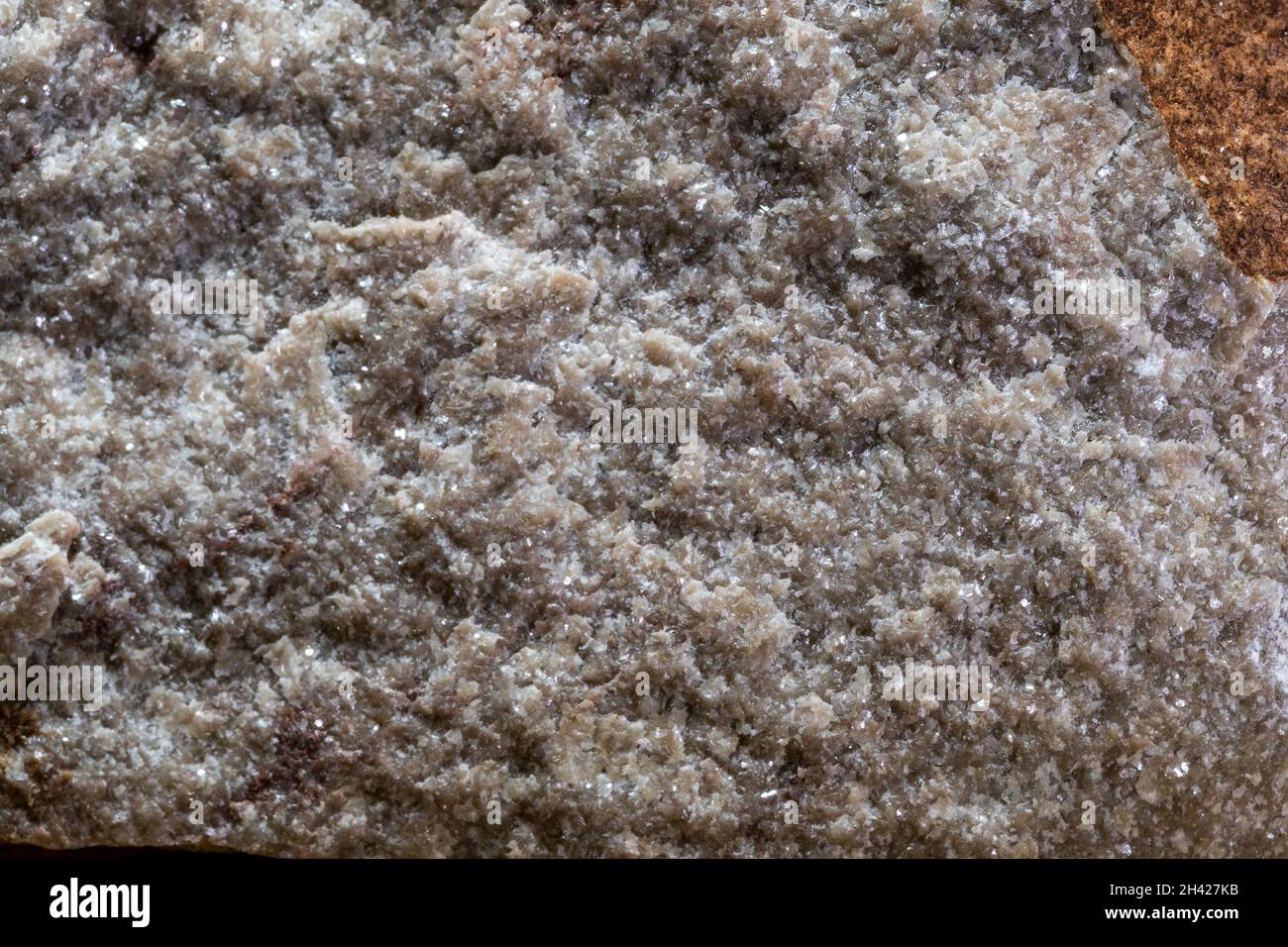 Crease Limestone - an oolitic limestone -; changed into a coarse ...