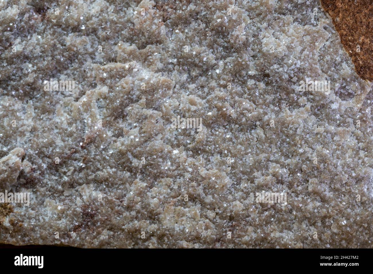 Crease Limestone - an oolitic limestone -; changed into a coarse ...