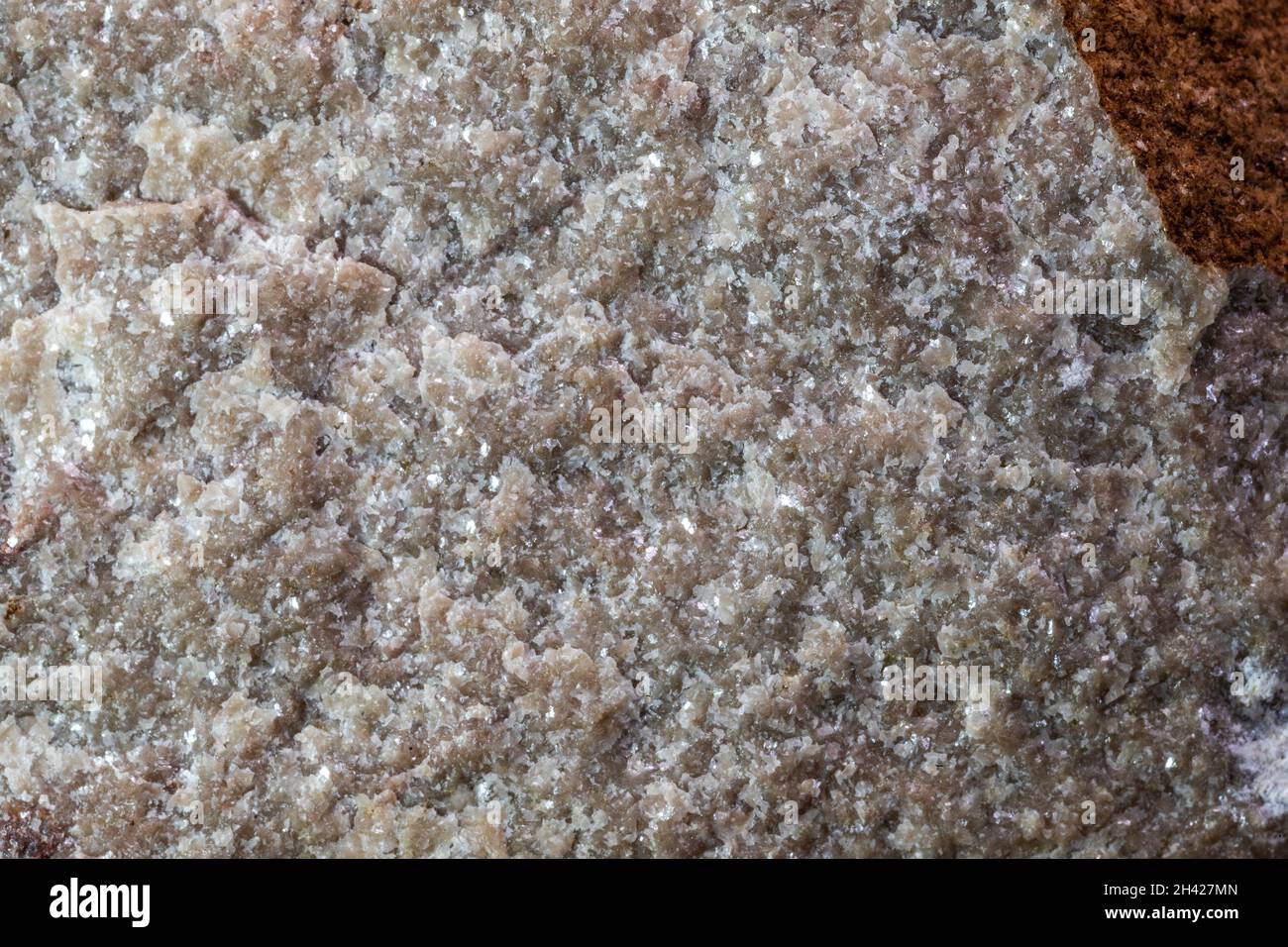 Crease Limestone - an oolitic limestone -; changed into a coarse ...