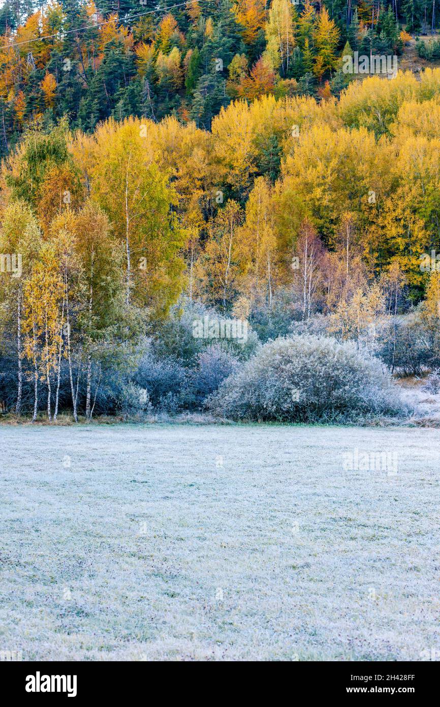 autumn landscape in central Provence, France Stock Photo - Alamy
