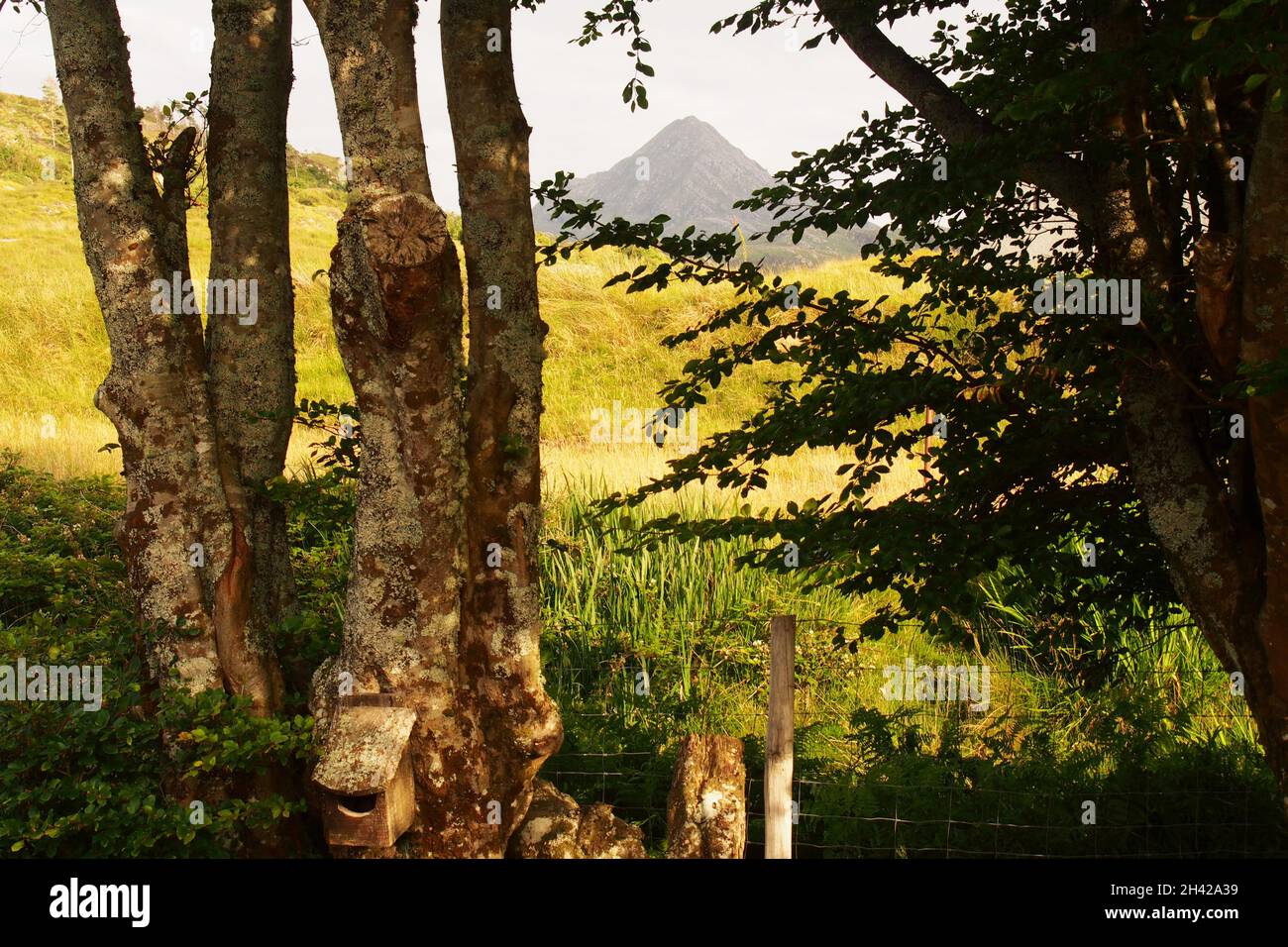 Ben stack hi-res stock photography and images - Alamy