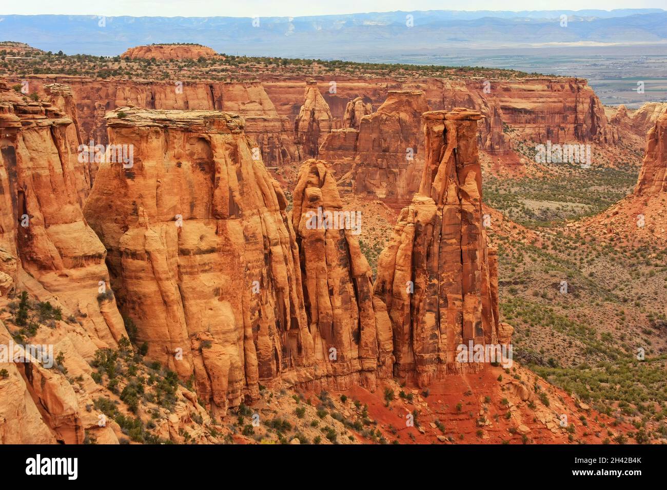 View of Pipe Organ formation in Colorado National Monument, Grand ...