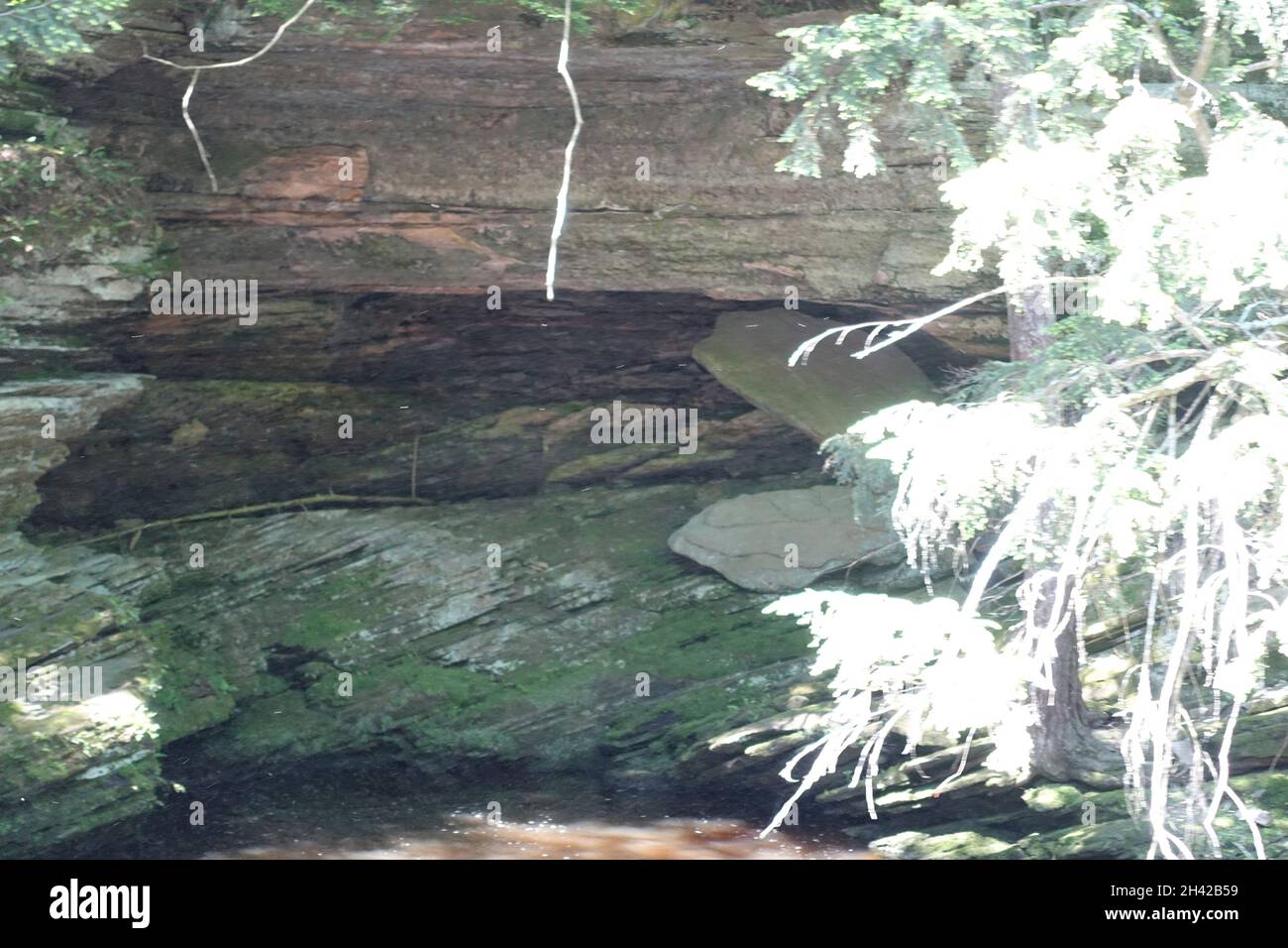 Upper river boat tour, Wisconsin Dells, Wisconsin Stock Photo - Alamy