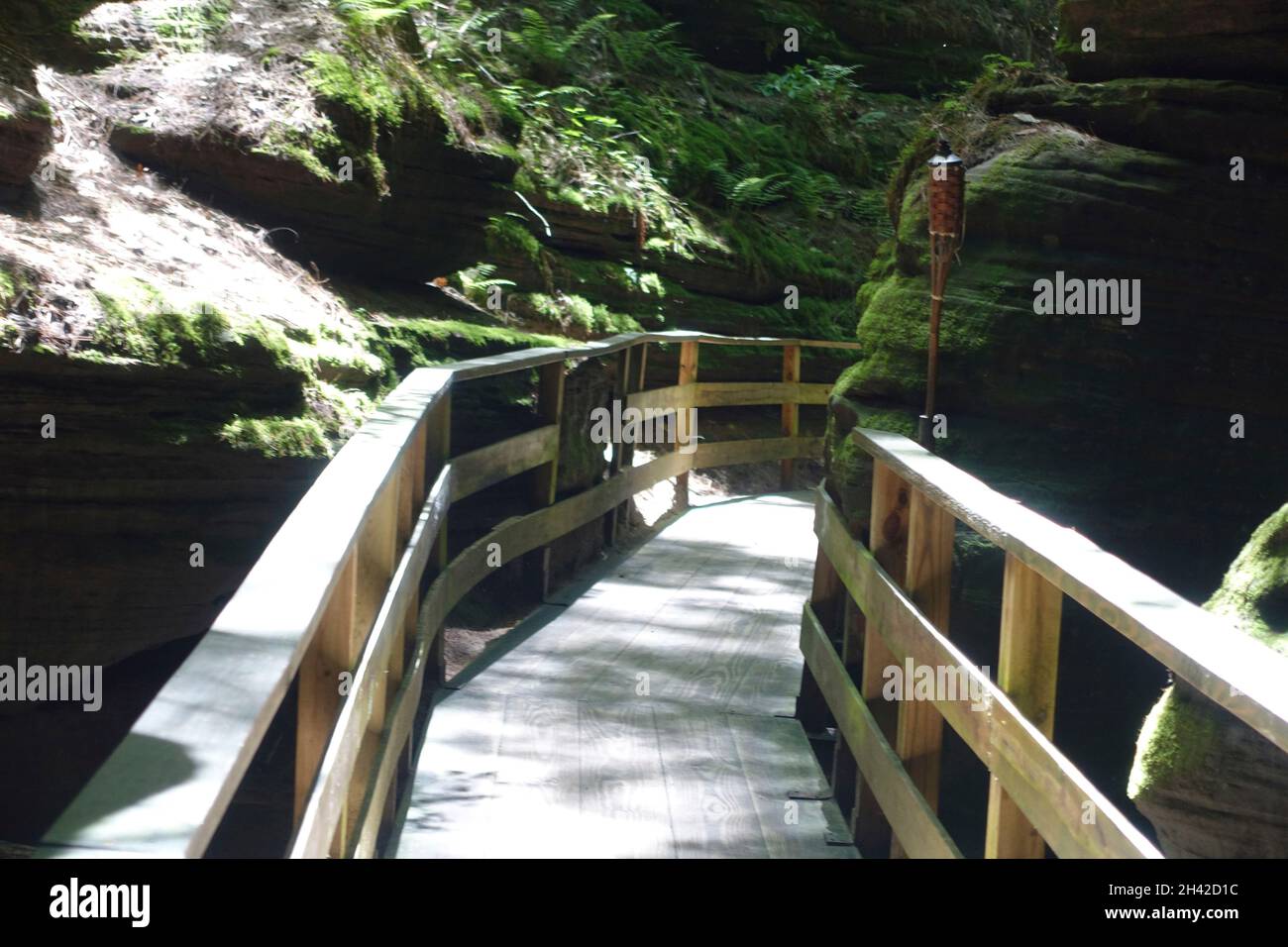 Upper river boat tour, Wisconsin Dells, Wisconsin Stock Photo - Alamy