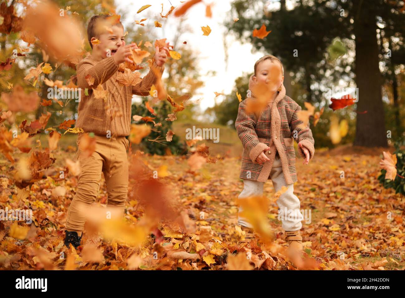 Happy leaf hi-res stock photography and images - Alamy