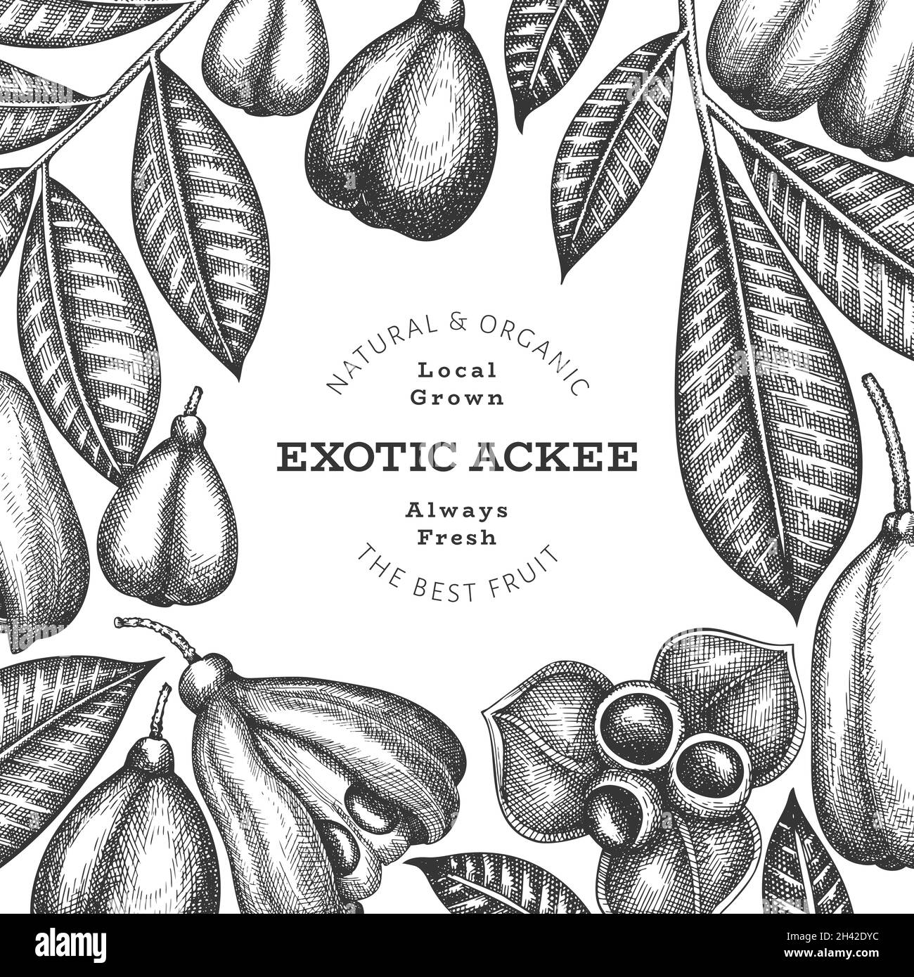 Ackee fruit Black and White Stock Photos & Images - Alamy