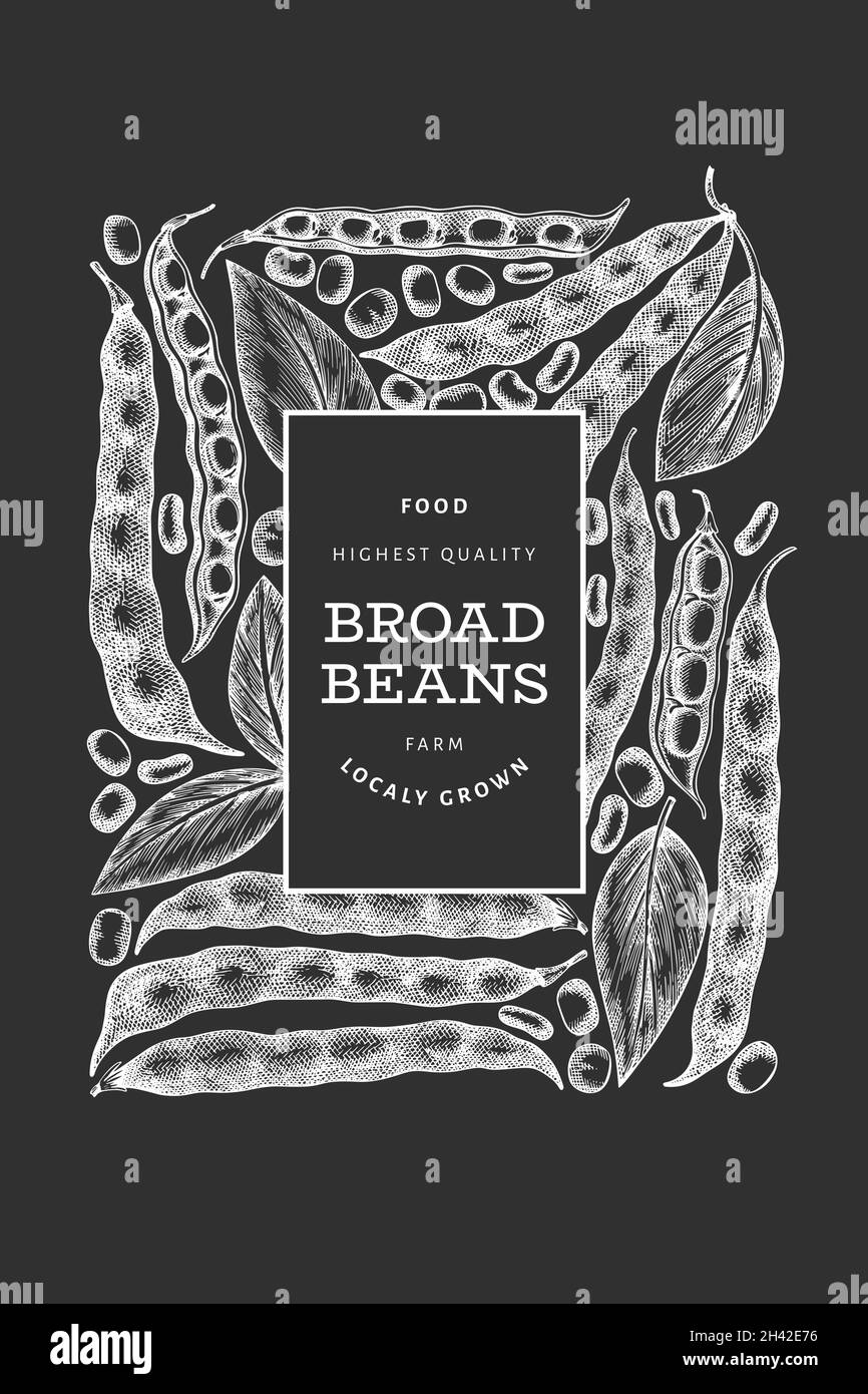 Hand drawn broad beans design template. Organic fresh food vector ...