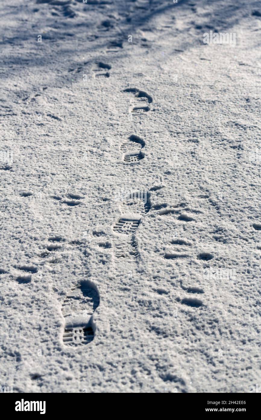 Closeup of footsteps in snow going forward. Exploring, adventure ...