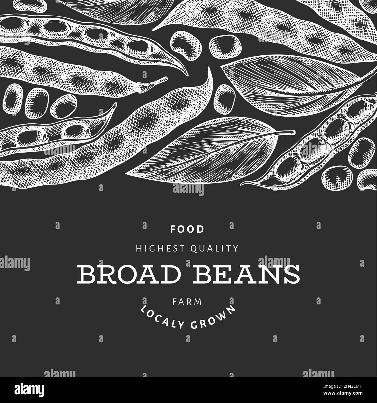 Hand drawn broad beans design template. Organic fresh food vector ...