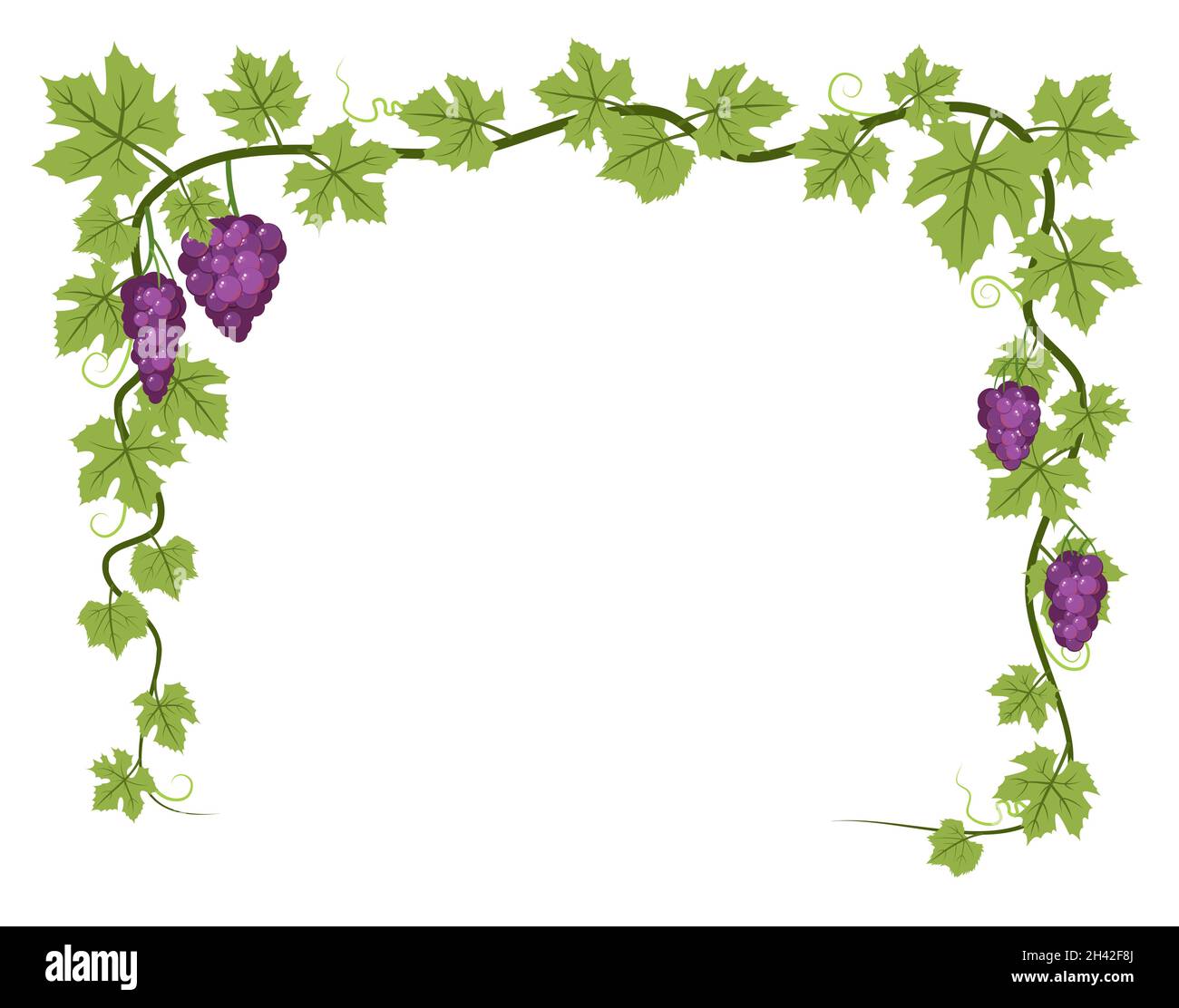 Rectangular Frame. Vine with foliage and bunches of grapes. Viticulture ...