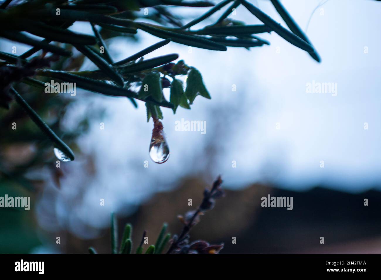 Attimo hi-res stock photography and images - Alamy