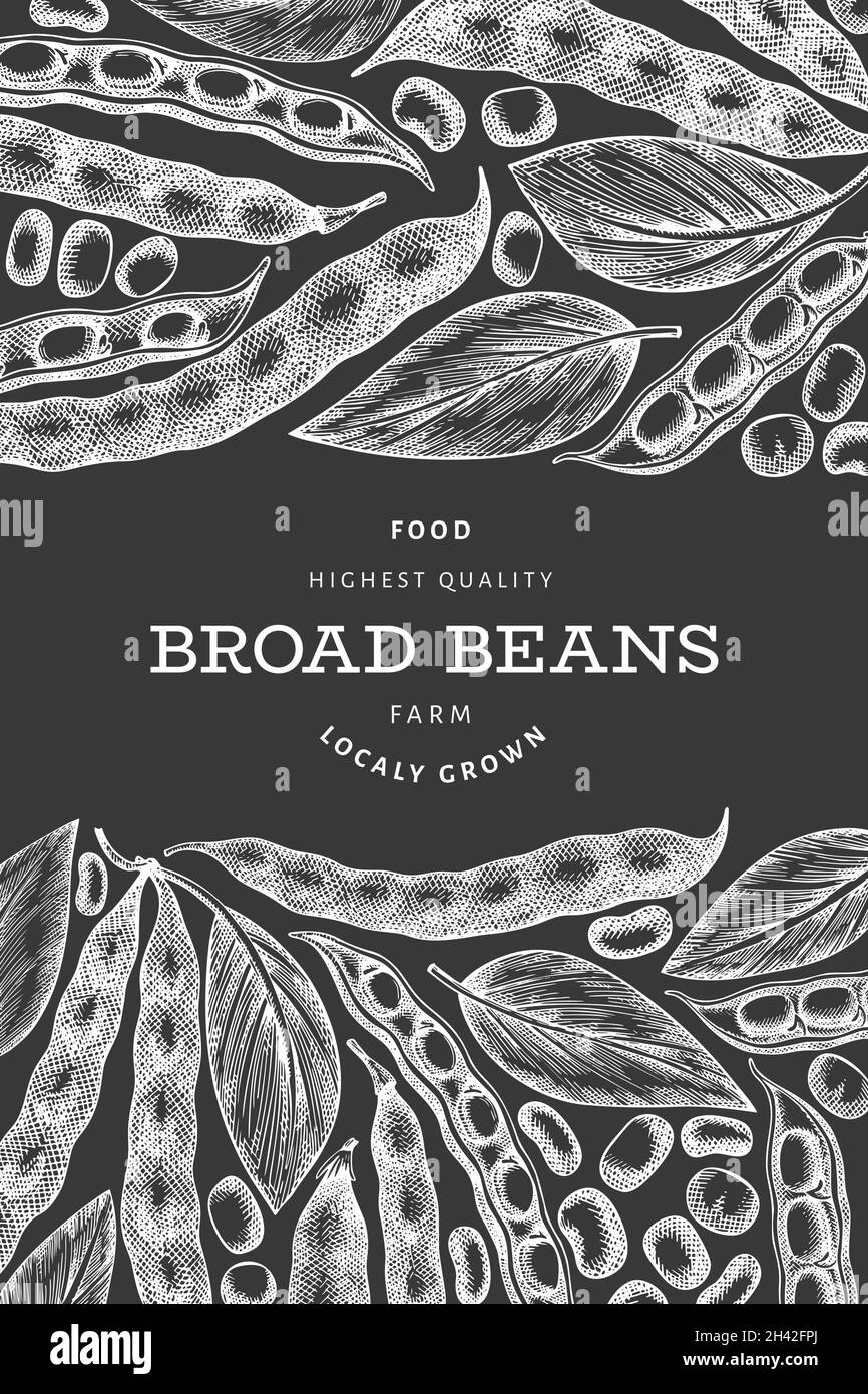 Hand drawn broad beans design template. Organic fresh food vector ...