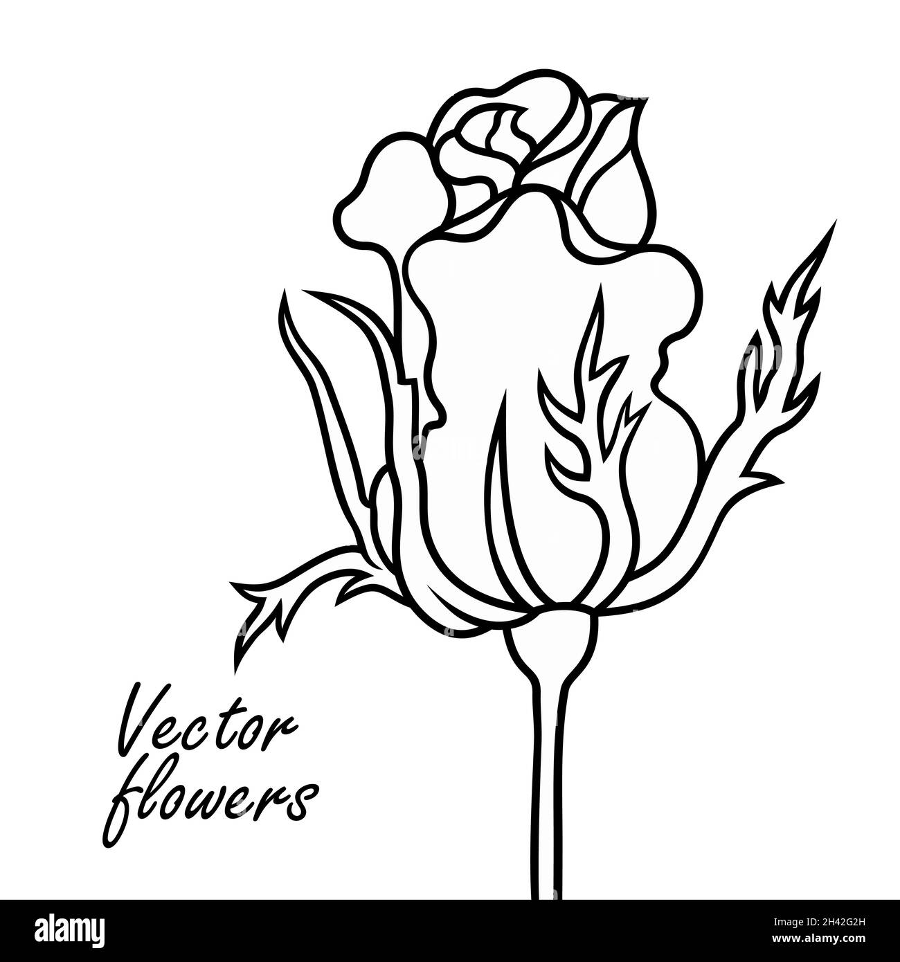 Rose line art vector hand drawn illustration Stock Vector Image & Art ...