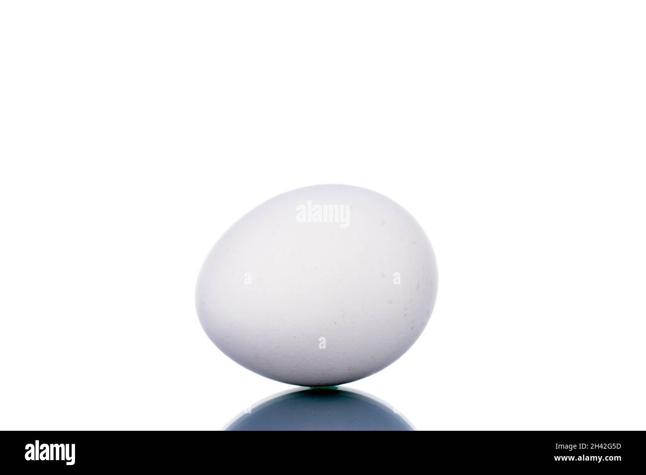 One white chicken egg, close-up, isolated on white Stock Photo - Alamy