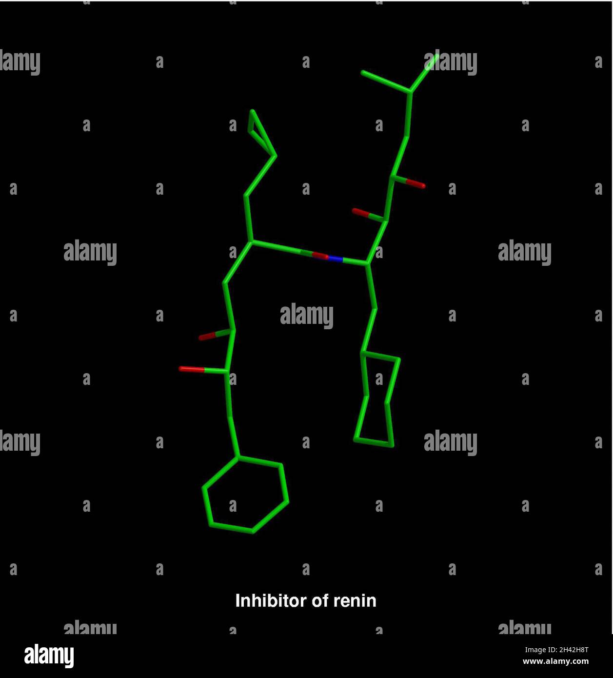 Molecular model of renin inhibitor Stock Photo - Alamy