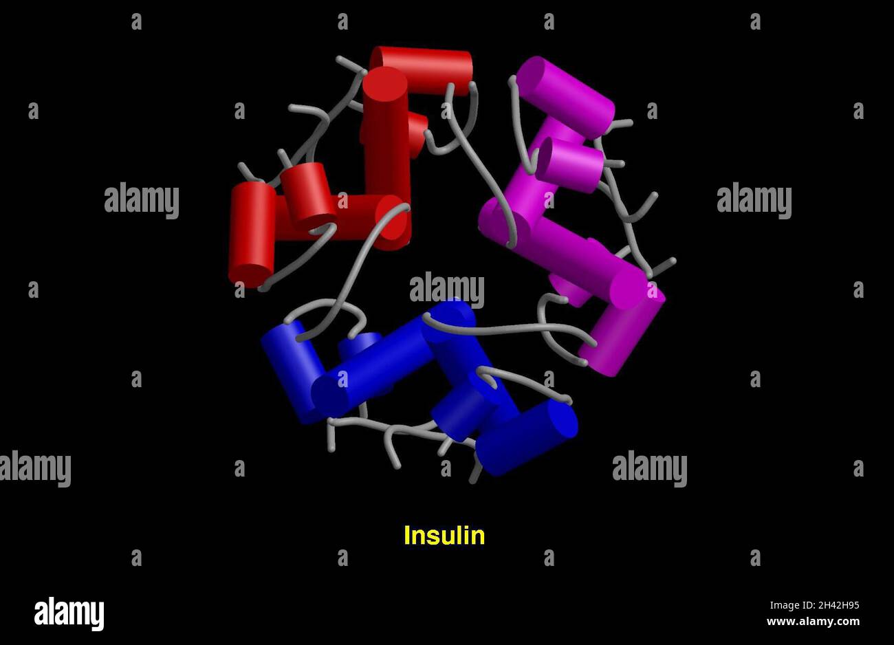 molecular model of insulin molecule Stock Photo - Alamy