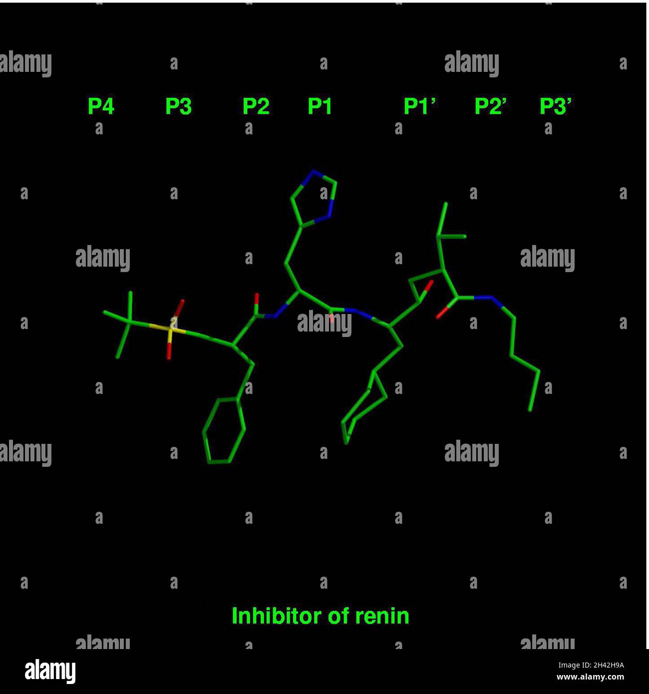 Molecular model of renin inhibitor Stock Photo - Alamy