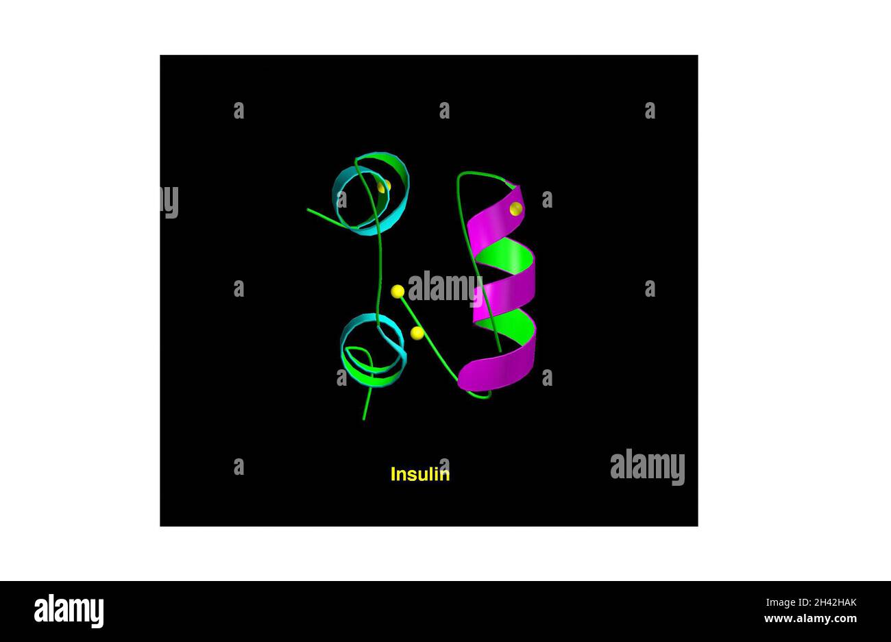 Molecular model of insulin molecule Stock Photo - Alamy