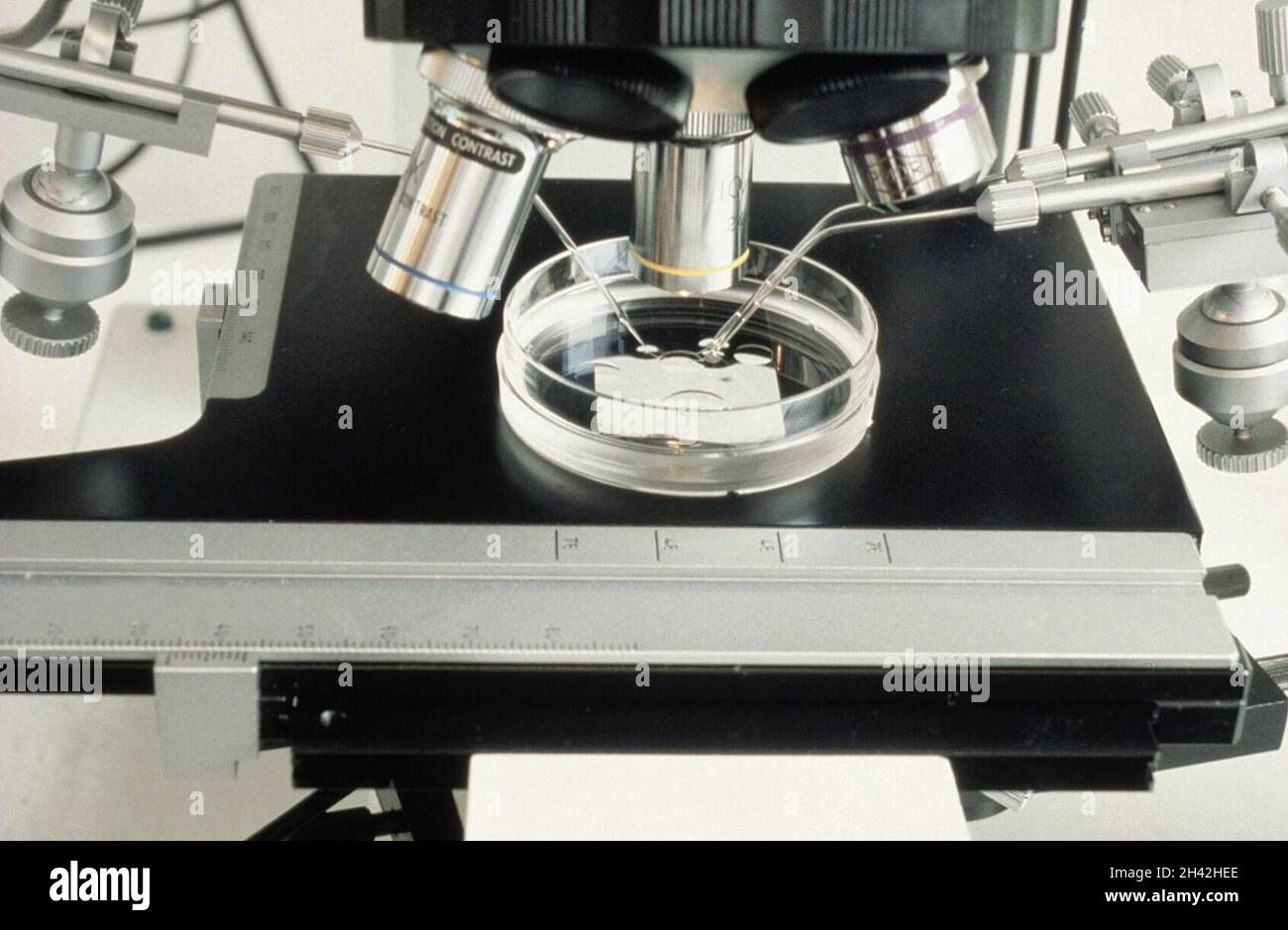 Embryo manipulation equipment Stock Photo - Alamy