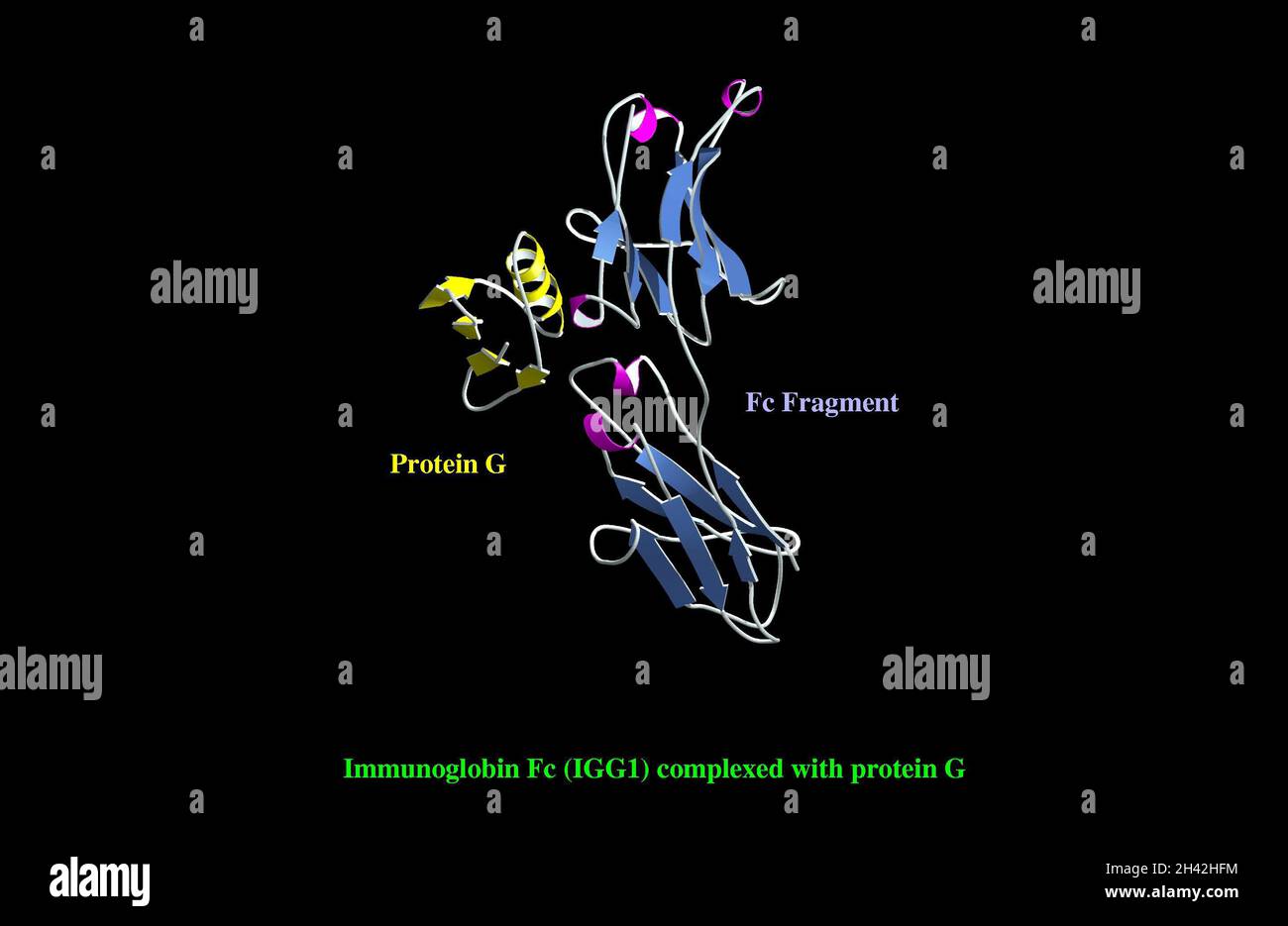 Iggi hi-res stock photography and images - Alamy
