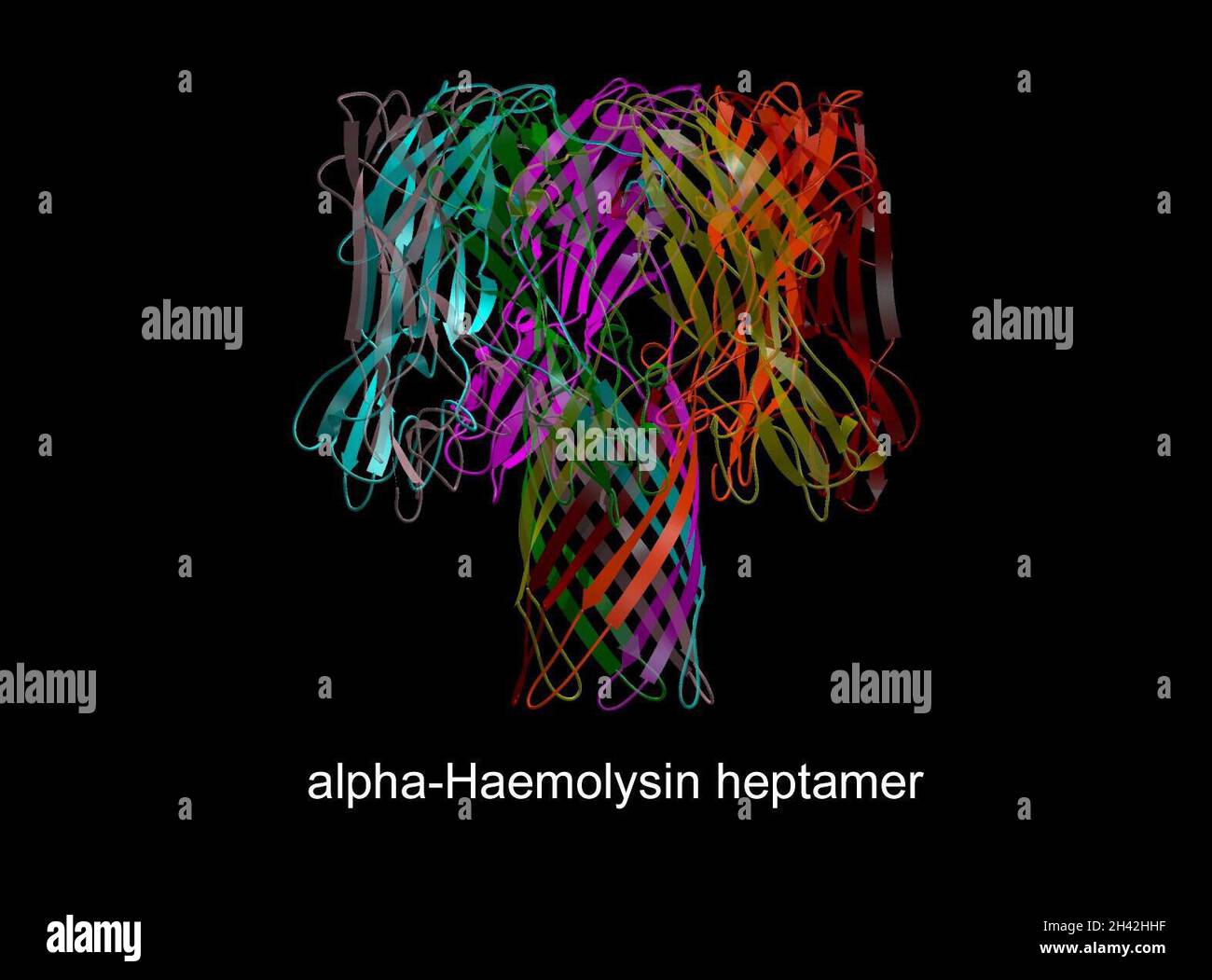 Molecular model of alpha-haemolysin heptamer Stock Photo - Alamy
