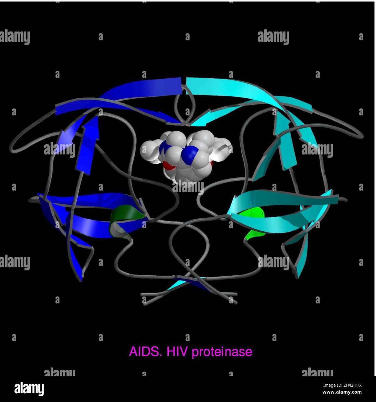 AIDS, HIV proteinase, molecular model Stock Photo - Alamy