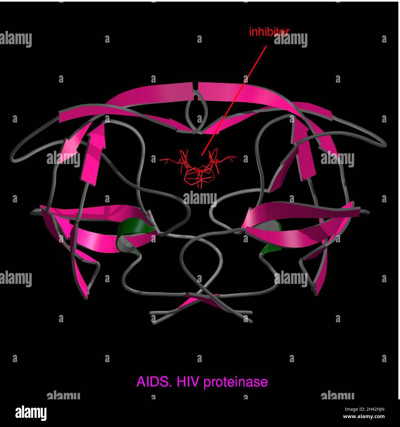 AIDS, HIV proteinase with inhibitor, m.model Stock Photo - Alamy