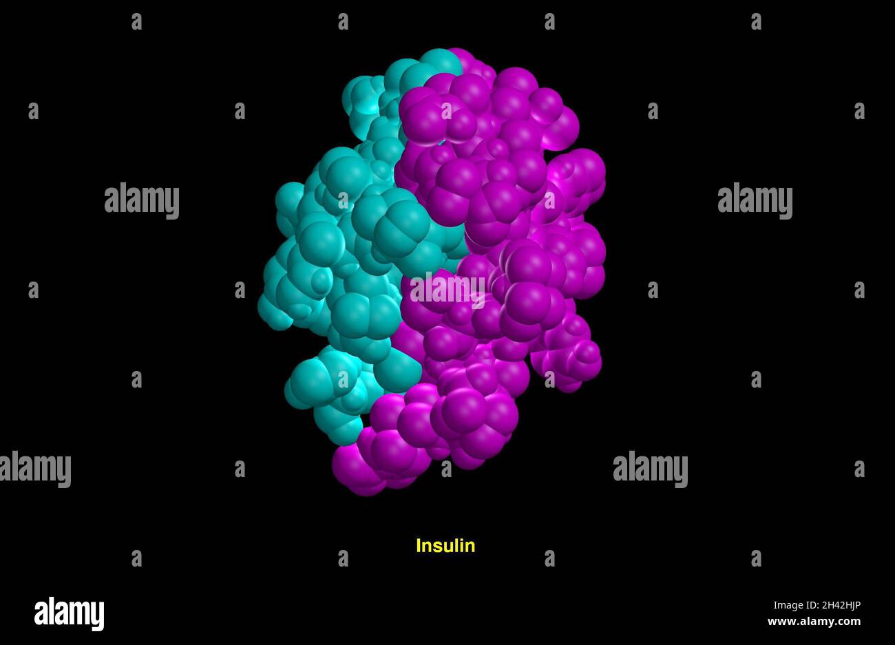 Molecular model of insulin molecule Stock Photo - Alamy