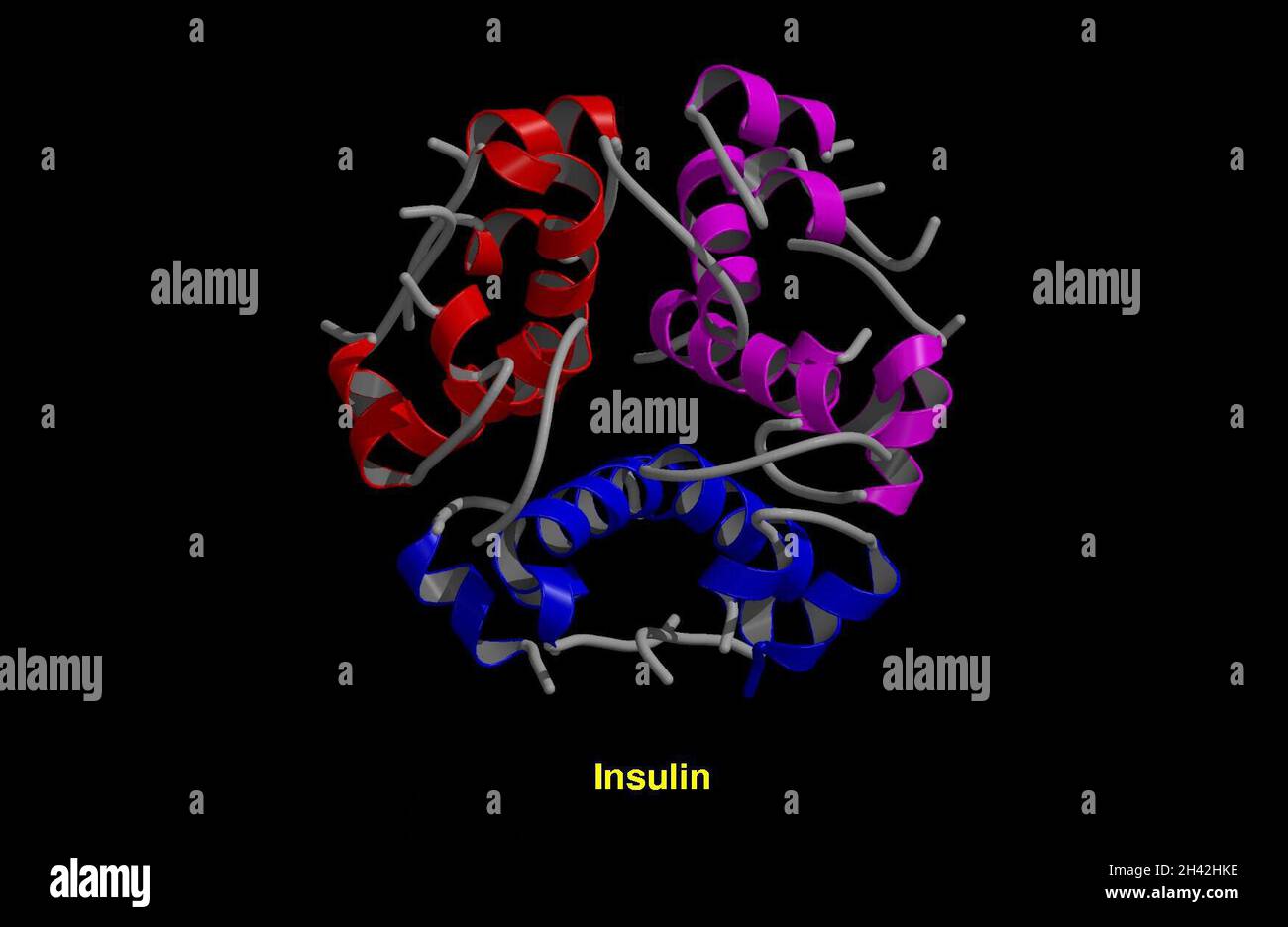 Molcular model of insulin molecule, ribbon Stock Photo - Alamy