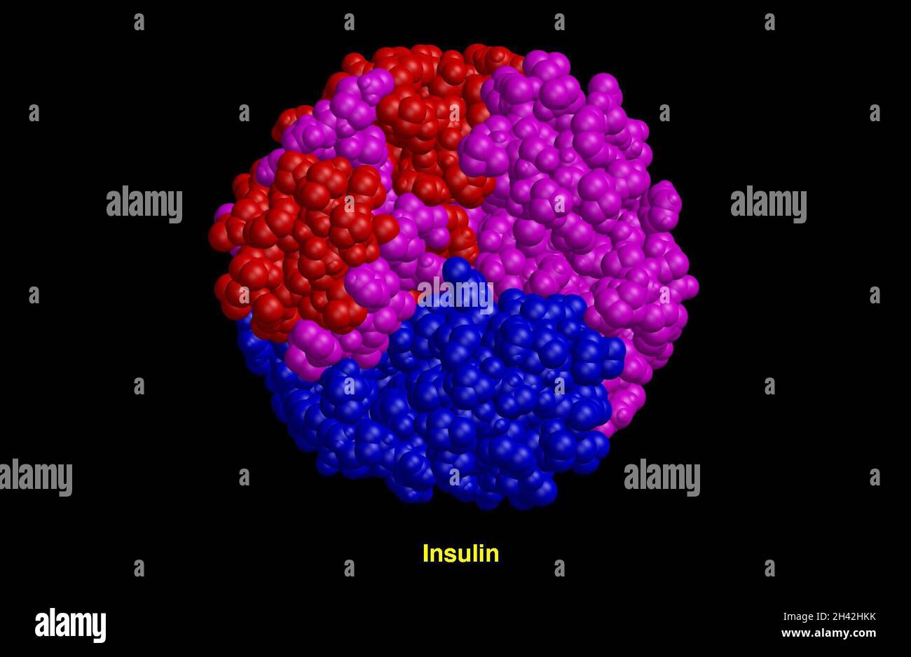 cpk representation of insulin molecule Stock Photo - Alamy