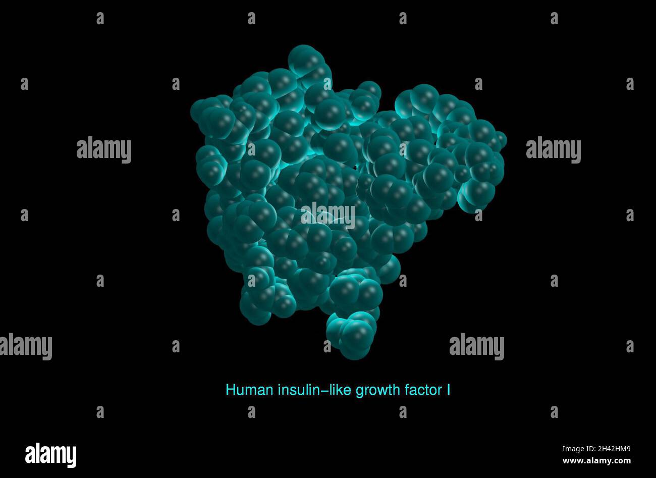 Insulin mol hi-res stock photography and images - Alamy