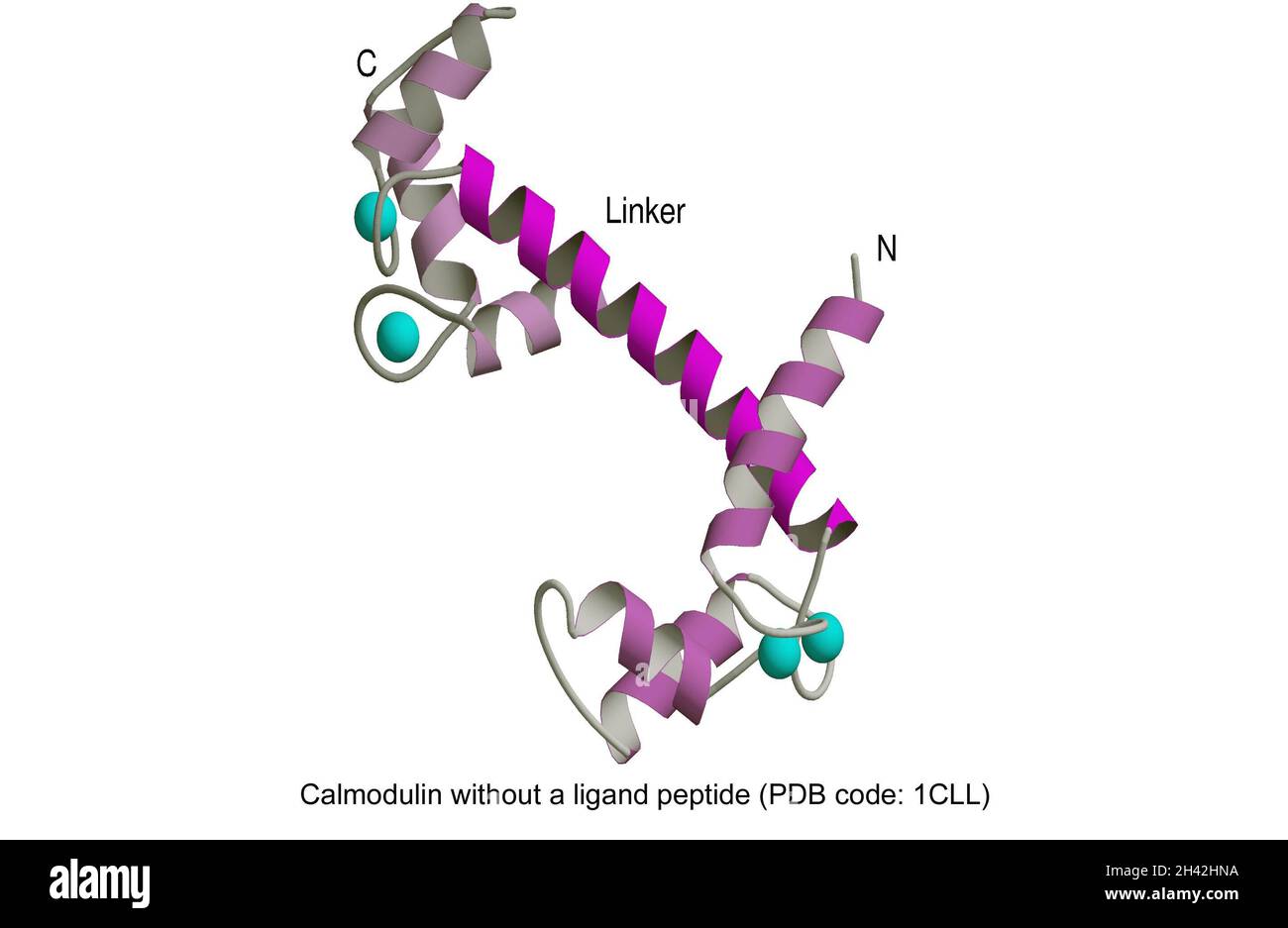 Without a model Cut Out Stock Images & Pictures - Alamy