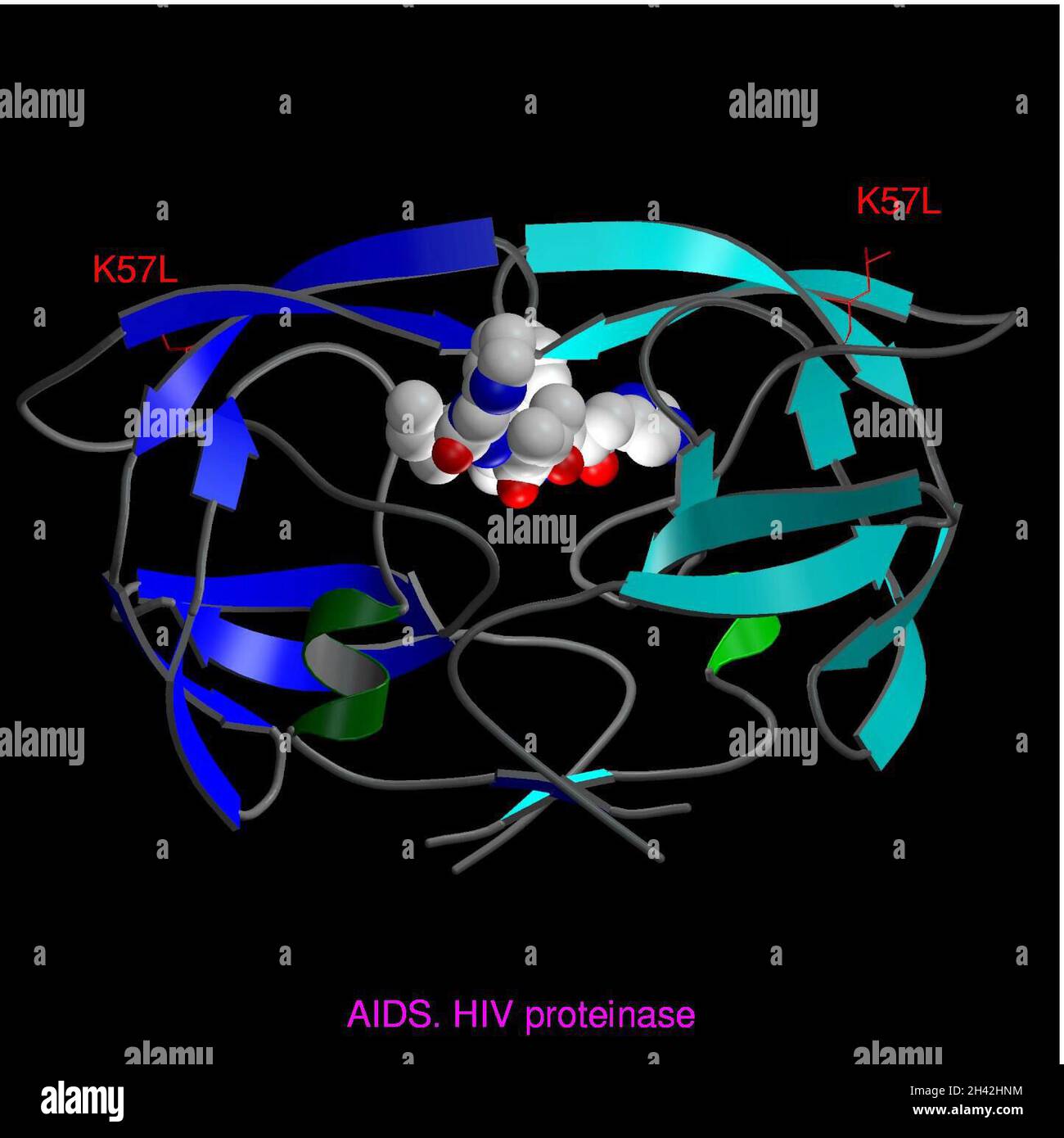 AIDS, HIV proteinase, molecular model Stock Photo - Alamy
