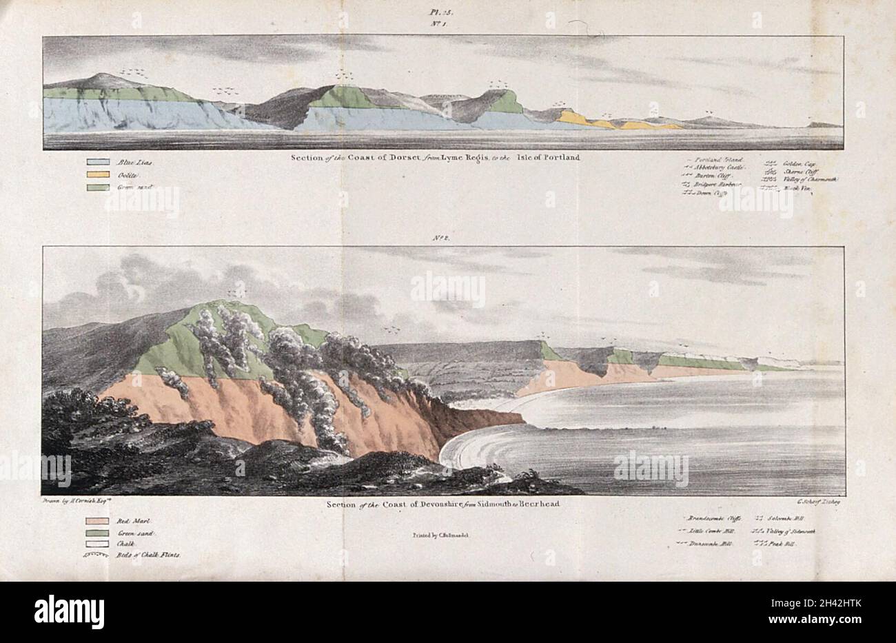 Geology: sections of the Dorset and Devonshire coastline, showing types ...