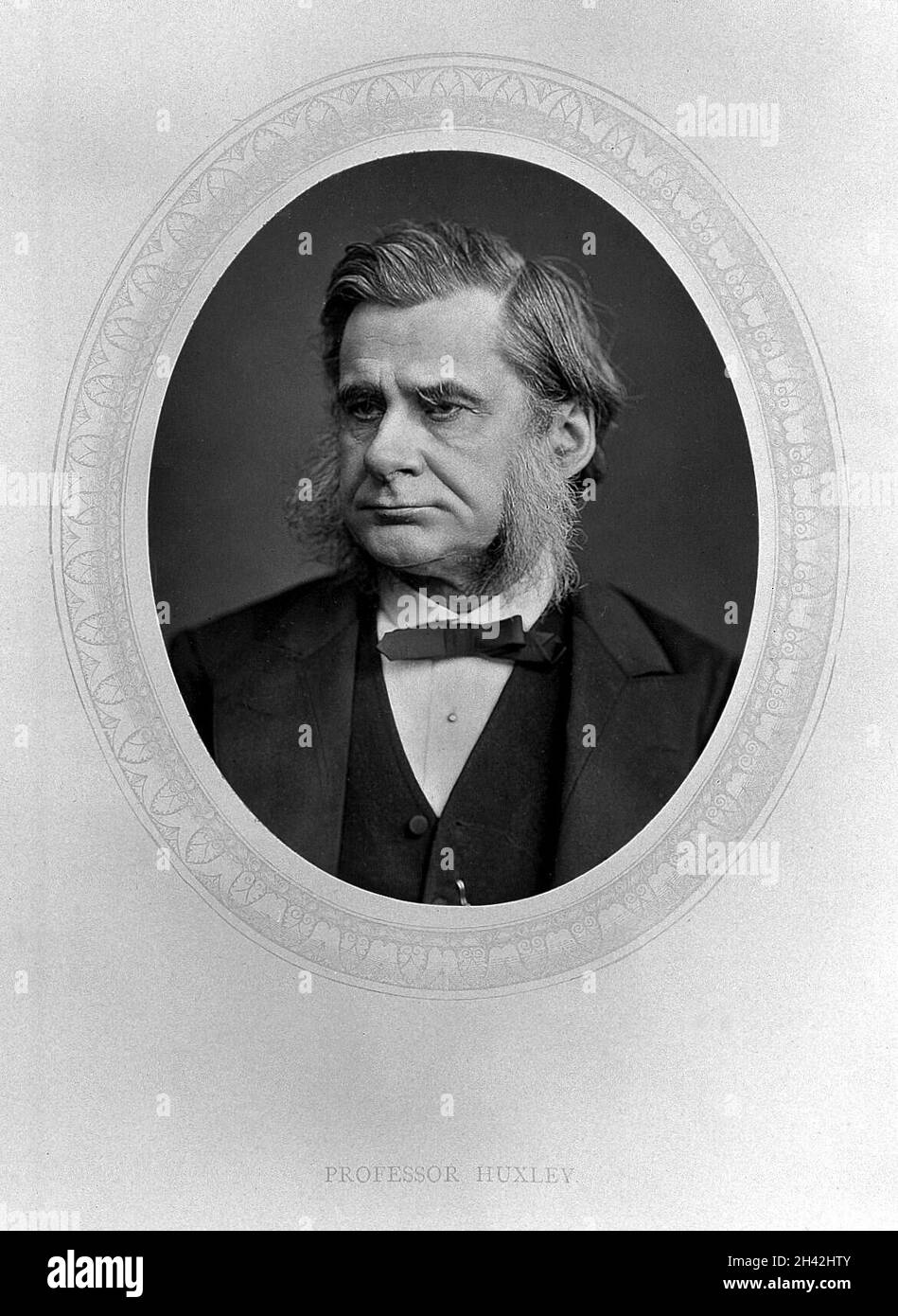 Portrait of Thomas Henry Huxley Stock Photo - Alamy