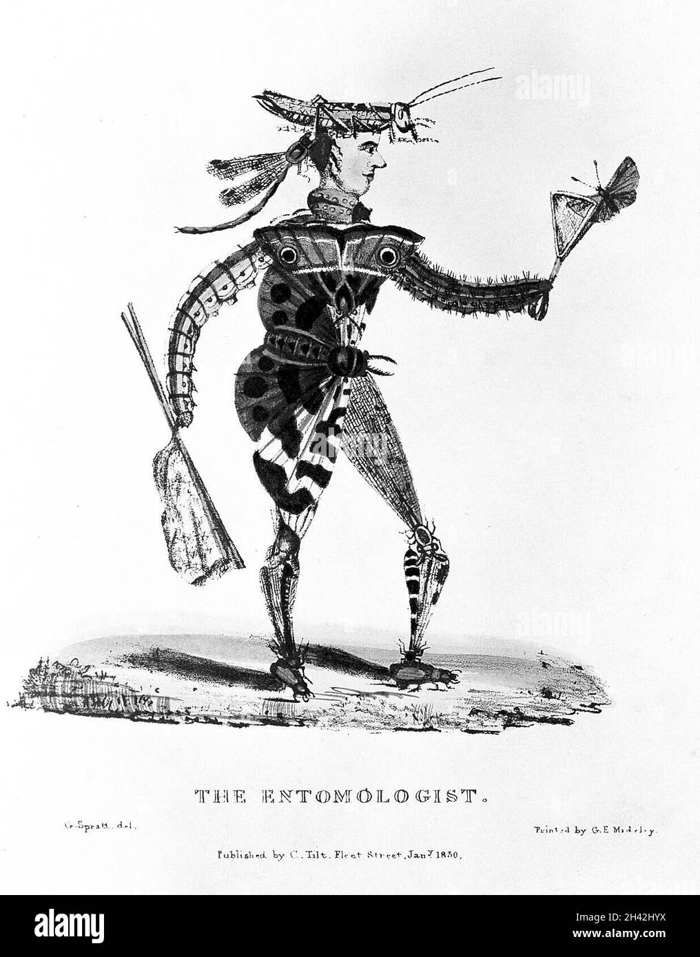 An entomologist at work; represented by a composite man made up of ...