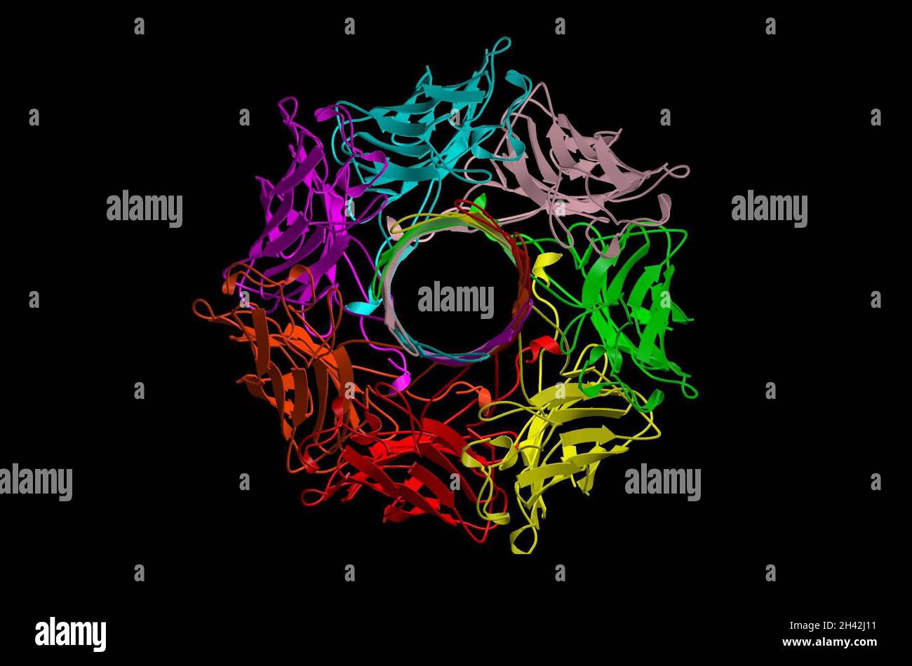 Molecular model of alpha-haemolysin, ribbon Stock Photo - Alamy