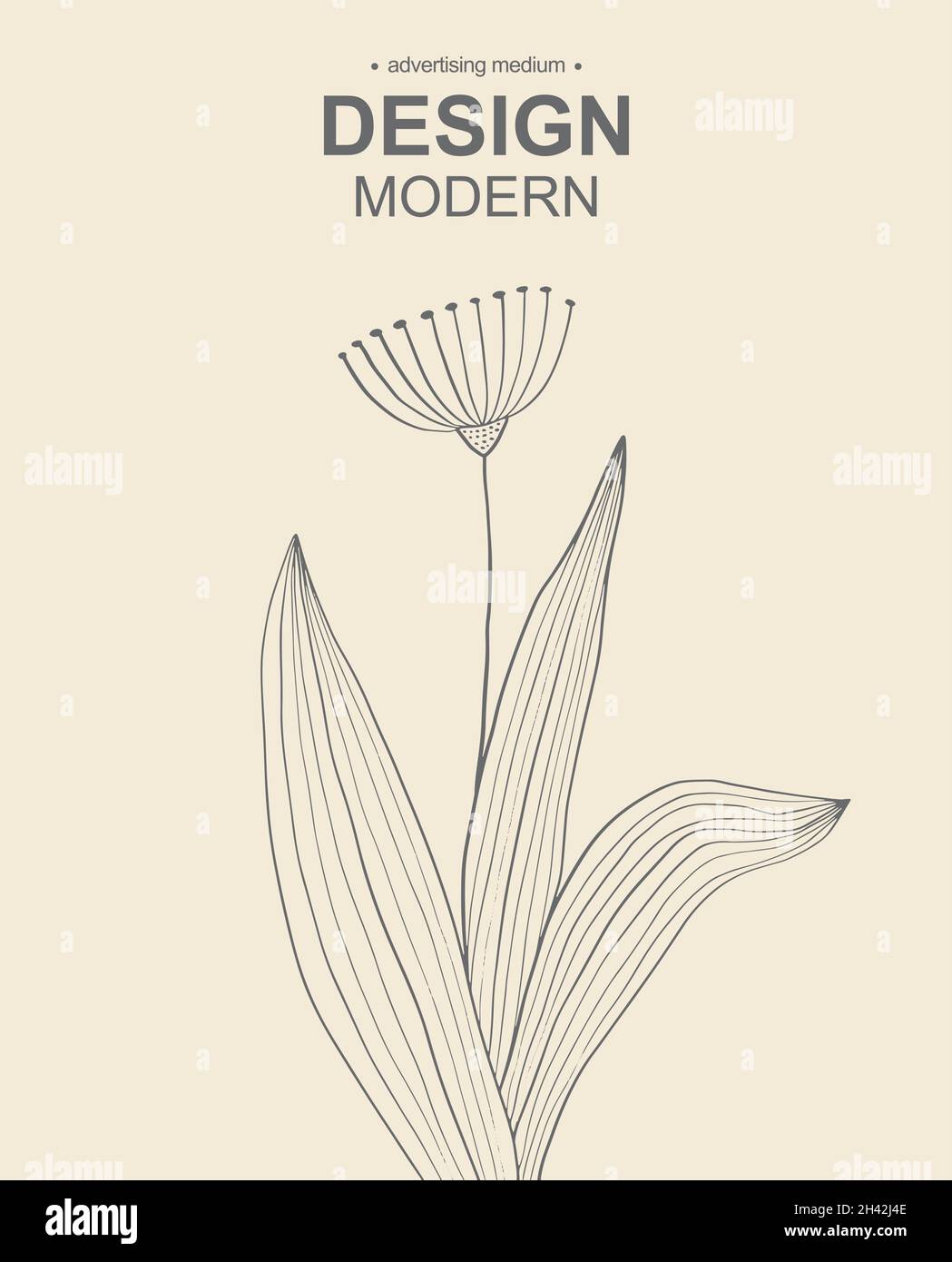 Vector botanical floral illustration. Continuous line drawing of plants ...