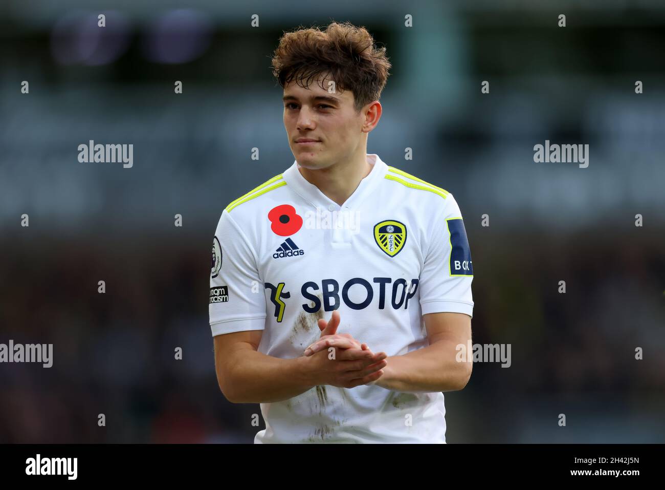 Daniel james leeds united 2021 hi-res stock photography and images - Alamy