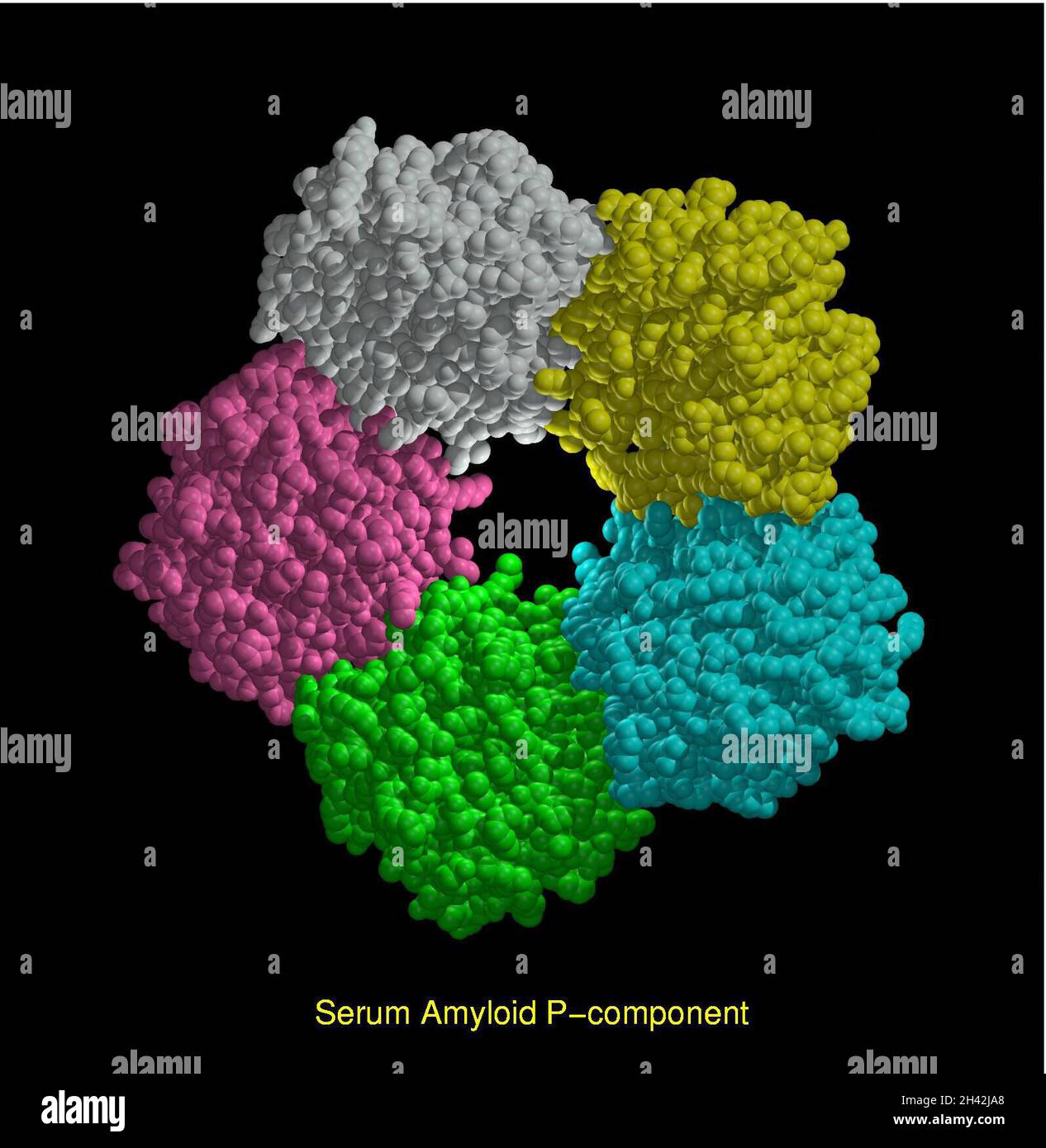 Serum amyloid P-component, mol. model Stock Photo - Alamy