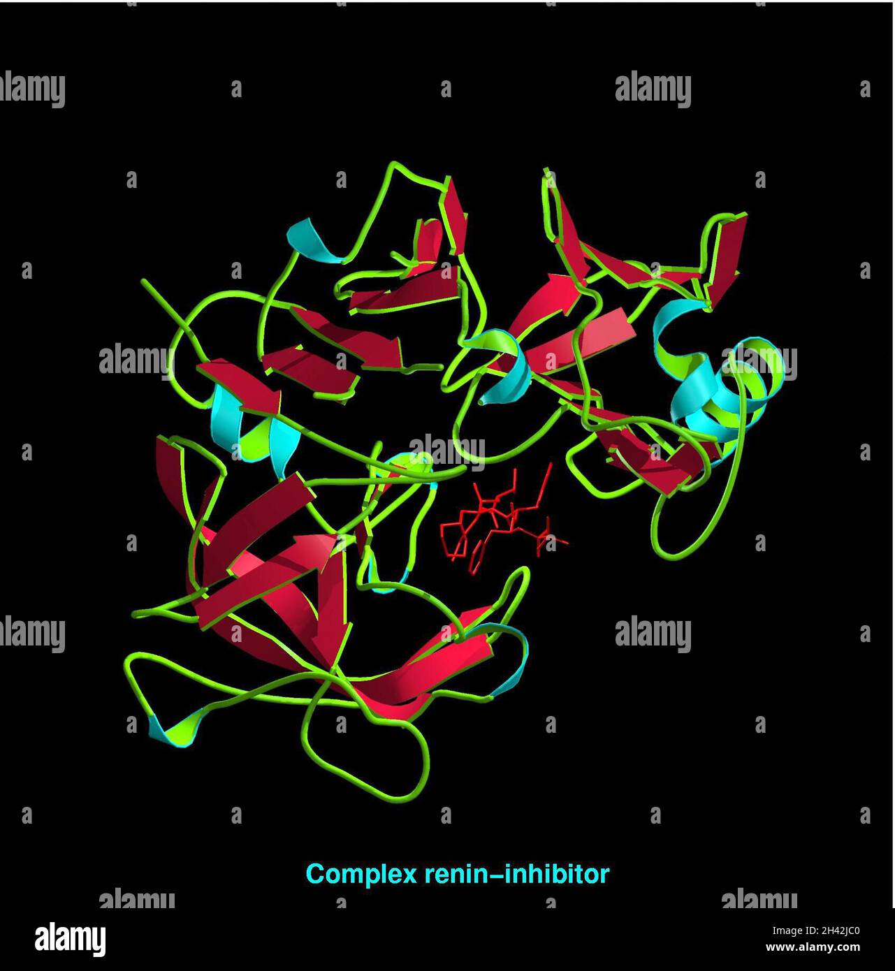 Molecular model of renin-inhibitor complex Stock Photo - Alamy