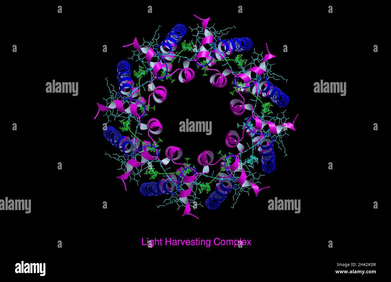 Molecular model of light-harvesting complex of Stock Photo - Alamy