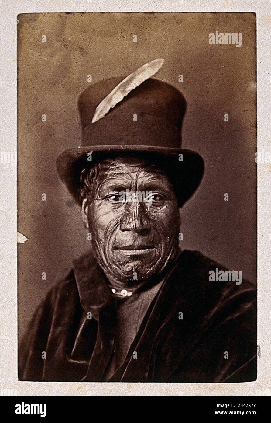 New Zealand: a Maori man. Albumen print Stock Photo - Alamy