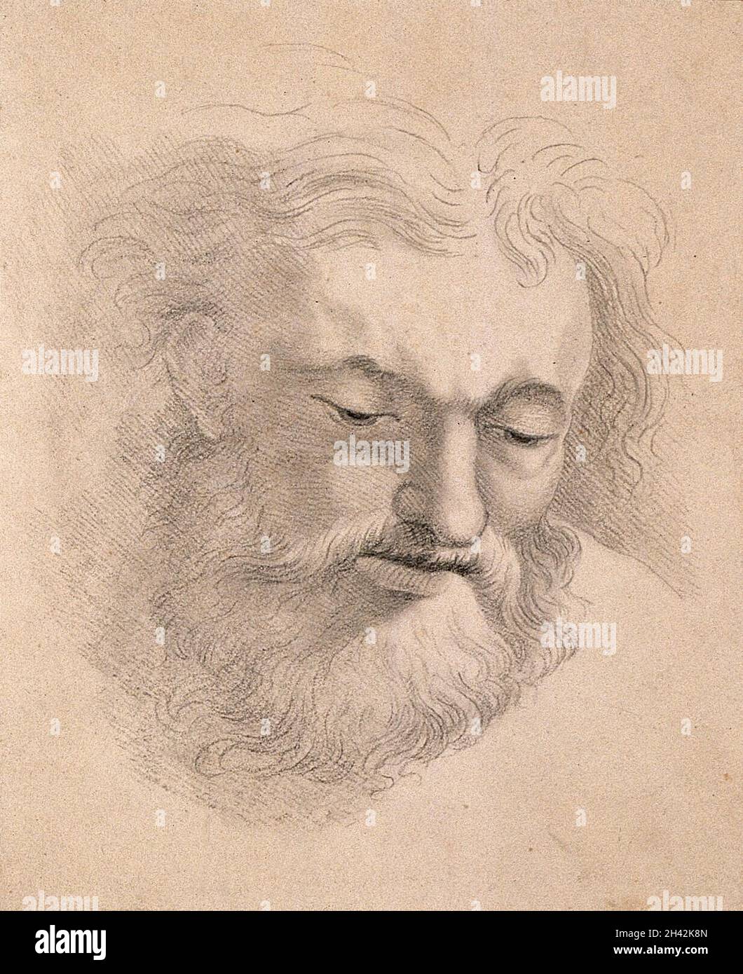 Drawing of head raphael hi-res stock photography and images - Alamy