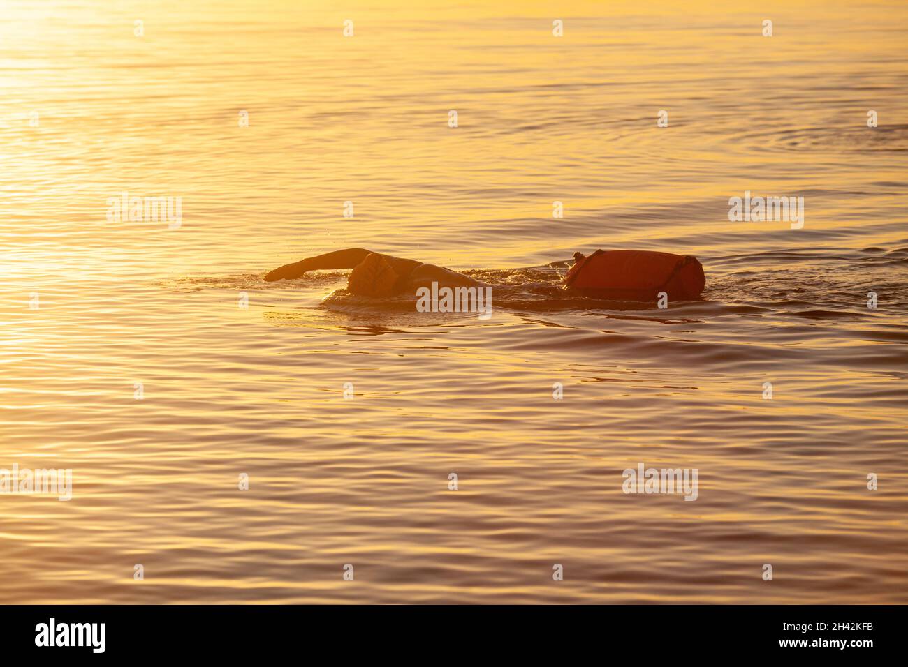 A woman swimming in the Firth of Forth on a cold October morning Stock ...