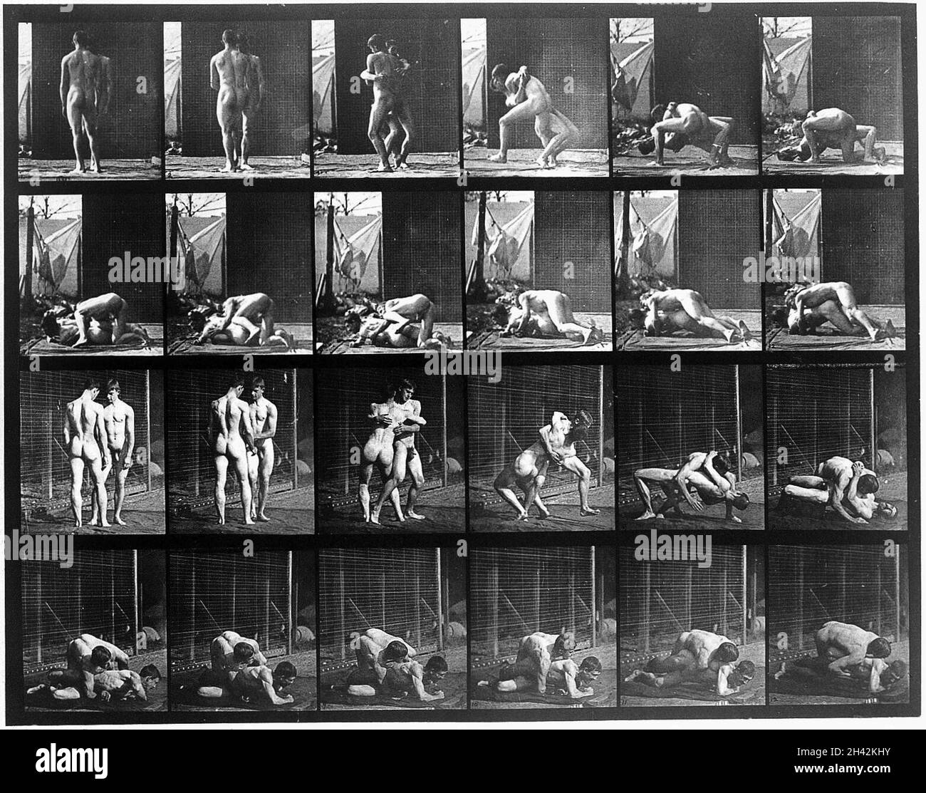 Animals movement Black and White Stock Photos & Images - Alamy