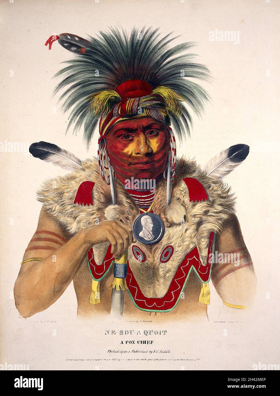 Fox tribe hi-res stock photography and images - Alamy