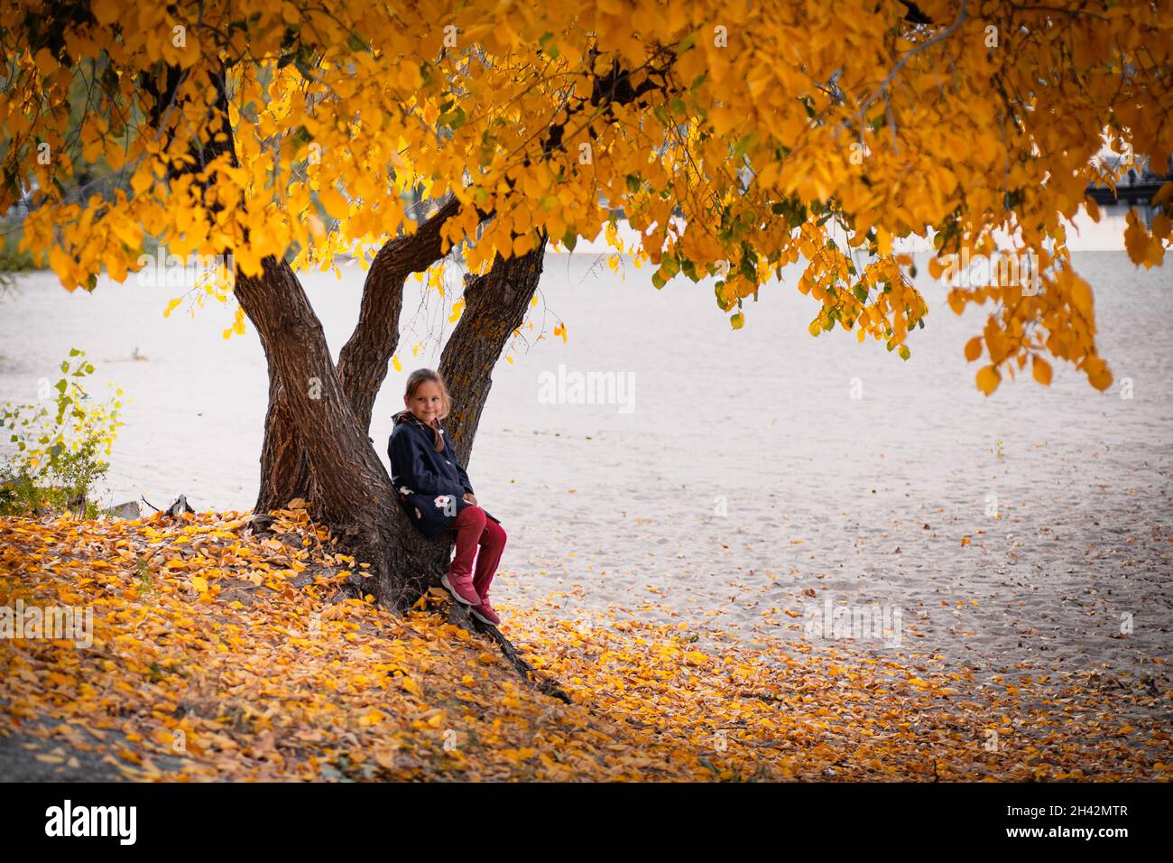 Under The Tree Alone