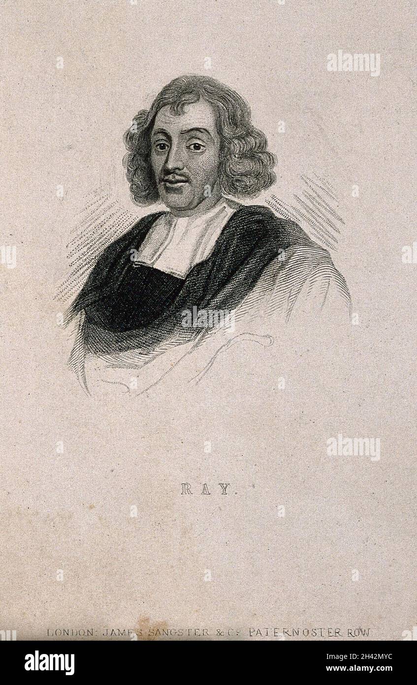 John Ray. Stipple engraving Stock Photo - Alamy